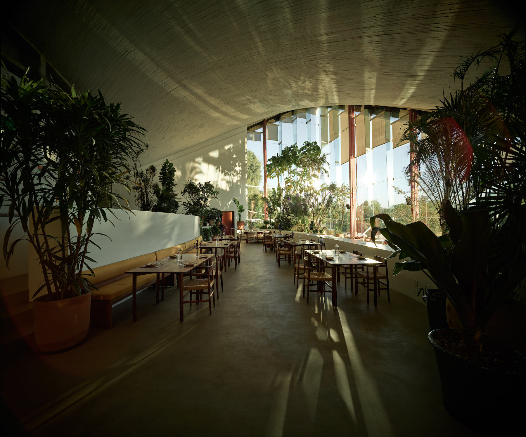 Galería de Diseñado por Alfonso Ramírez Ponce e inspirado en el trabajo ...