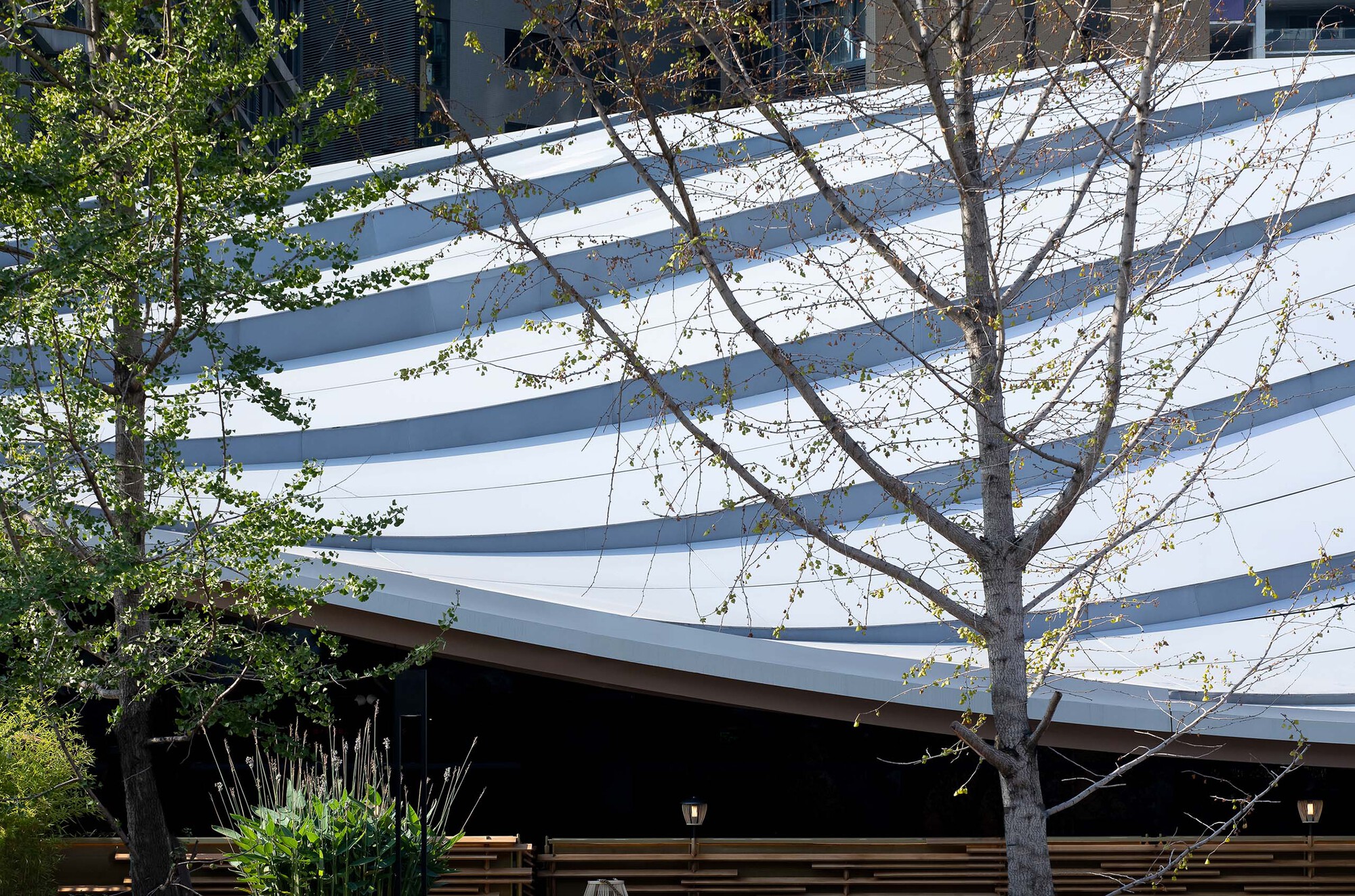 Gallery of Timber-Roofed Restaurant / BEHIVE Architects - 16