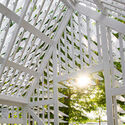 Shiver House V2 Pavilion / NEON | ArchDaily