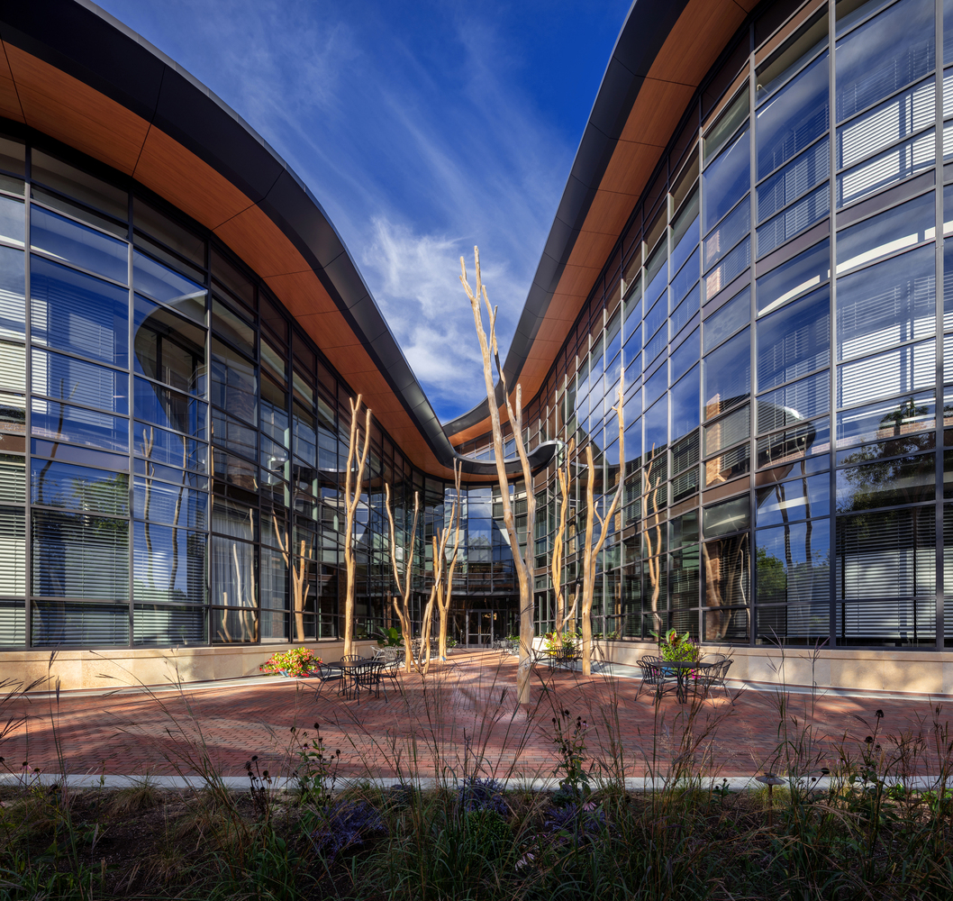 画廊 Promega 公司科恩伯格中心 / SmithGroup - 6