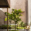 Cool House / Samira Rathod Design Atelier | ArchDaily