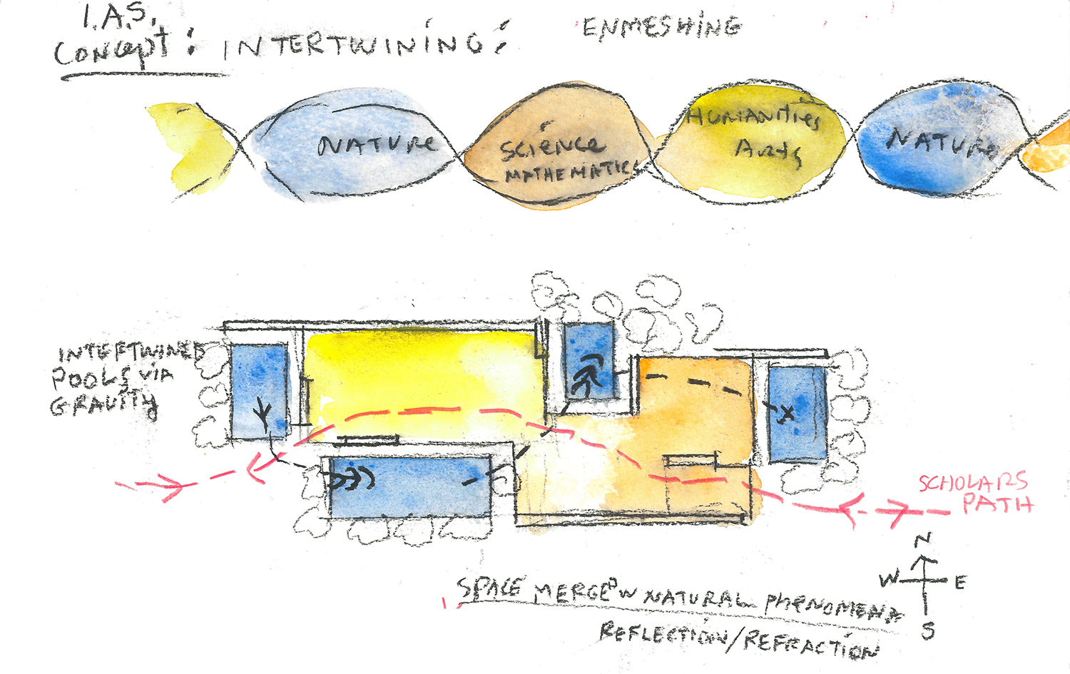 Gallery of Rubenstein Commons Institute for Advanced Study / Steven ...