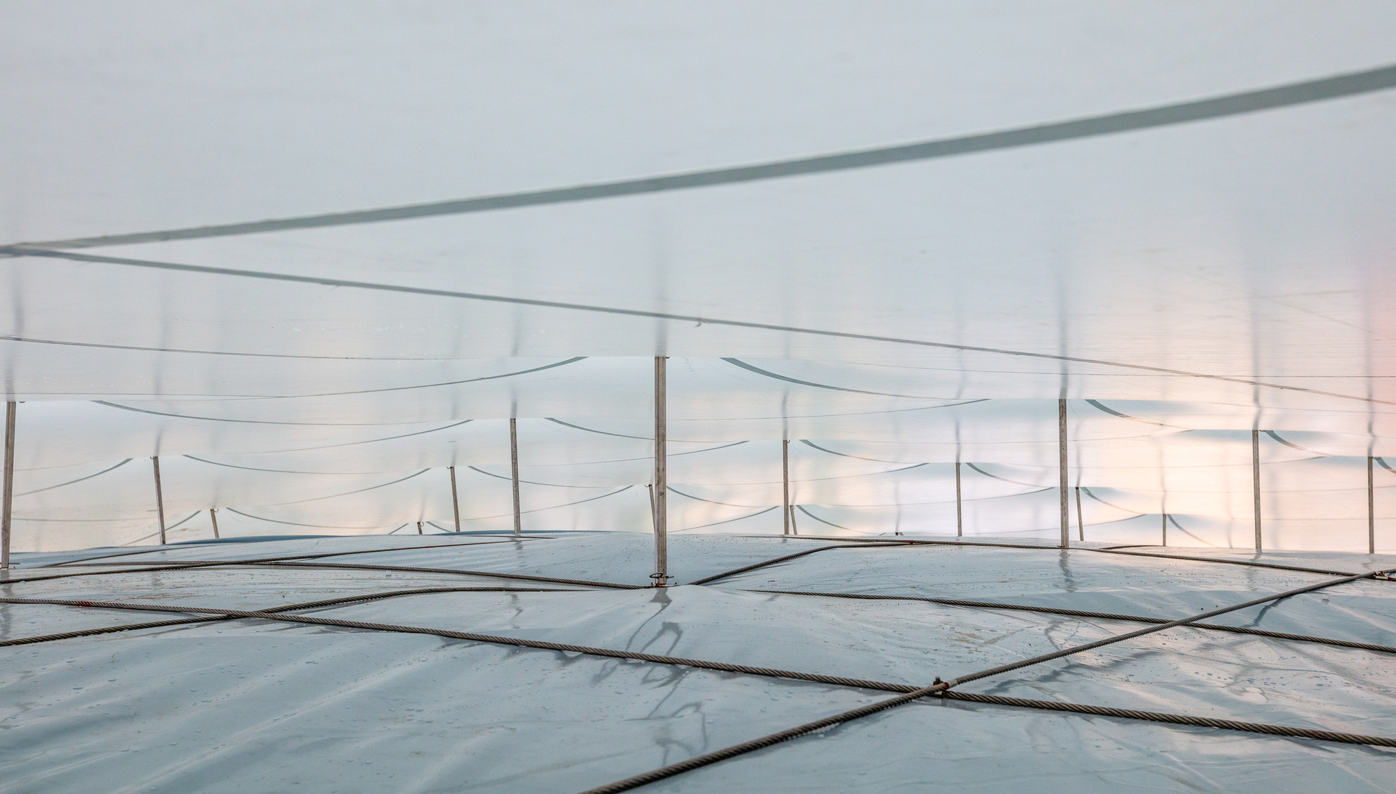 Gallery of Freedom Museum / architectural studio ZJA - 10