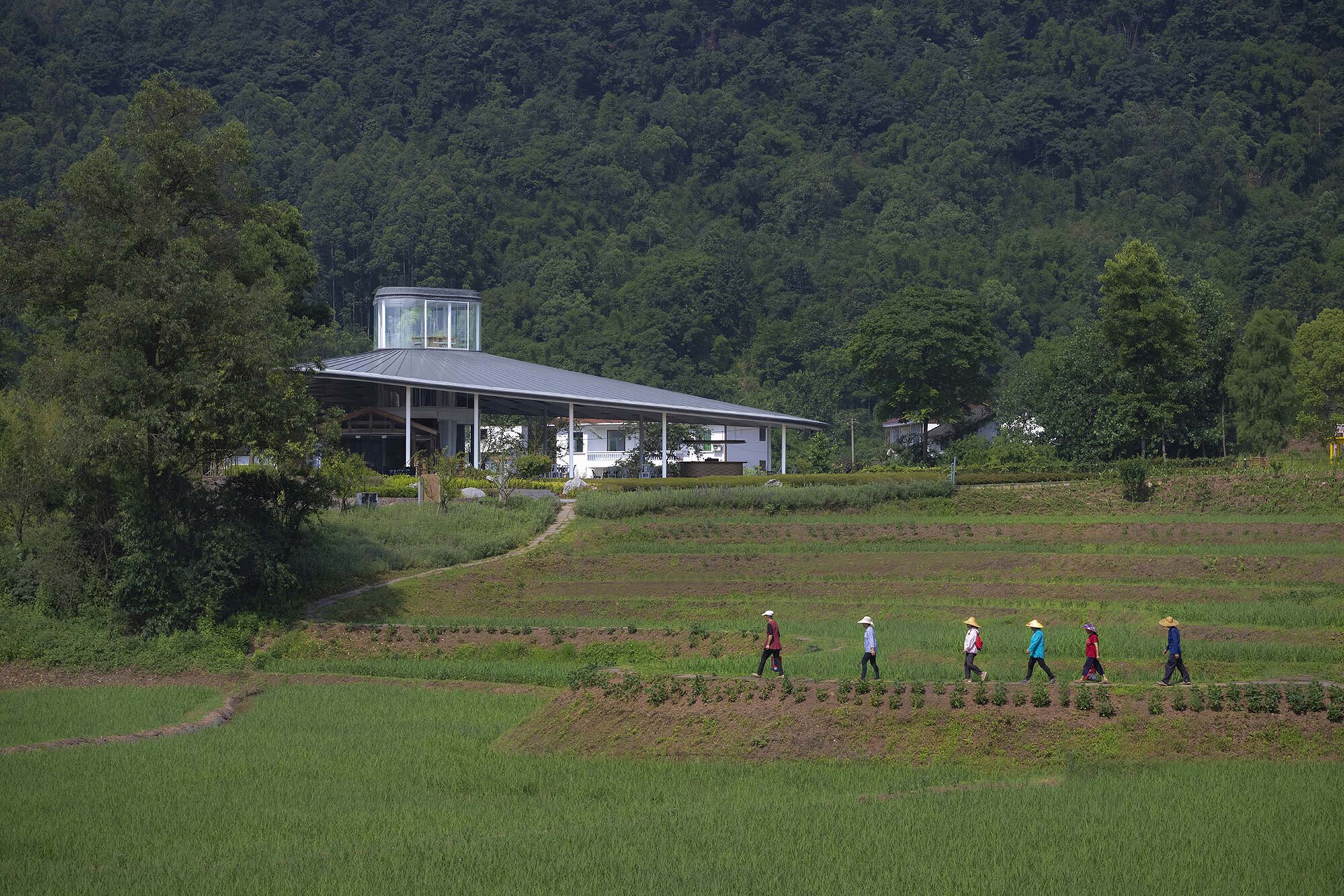 Gallery of Bamboo Workshop / Zaixing Architectural Design - 3