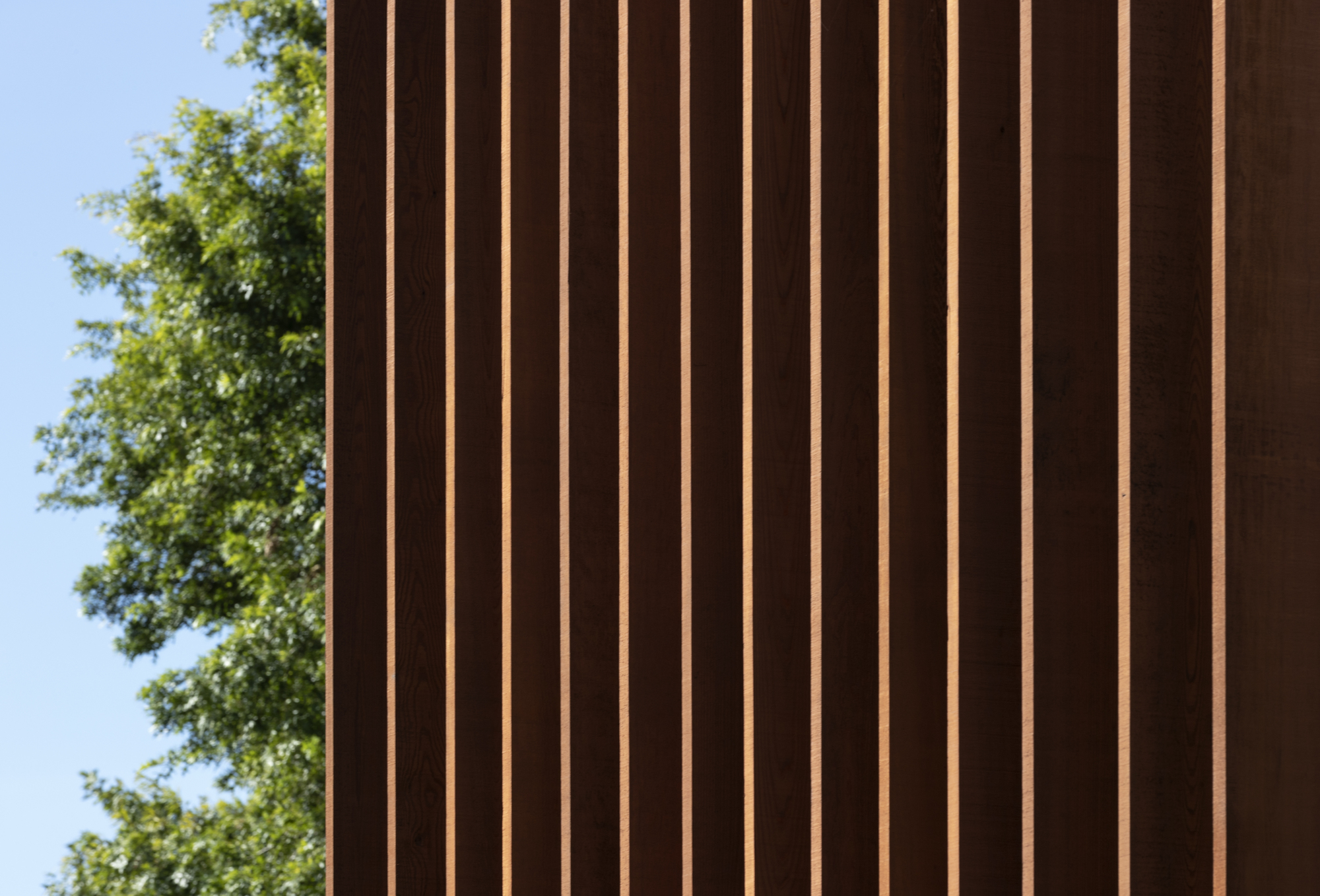 Gallery of Auckland Zoo Administration Building / Ignite Architects - 10