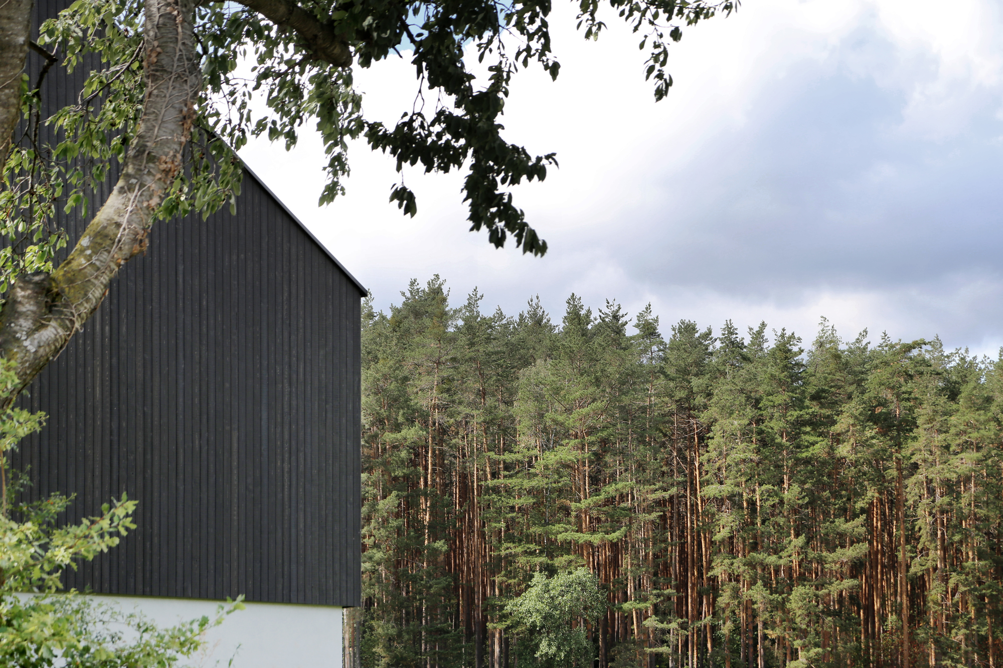 Gallery of Cherry House / STEINBAUER architektur+design + Kaltenbacher ...