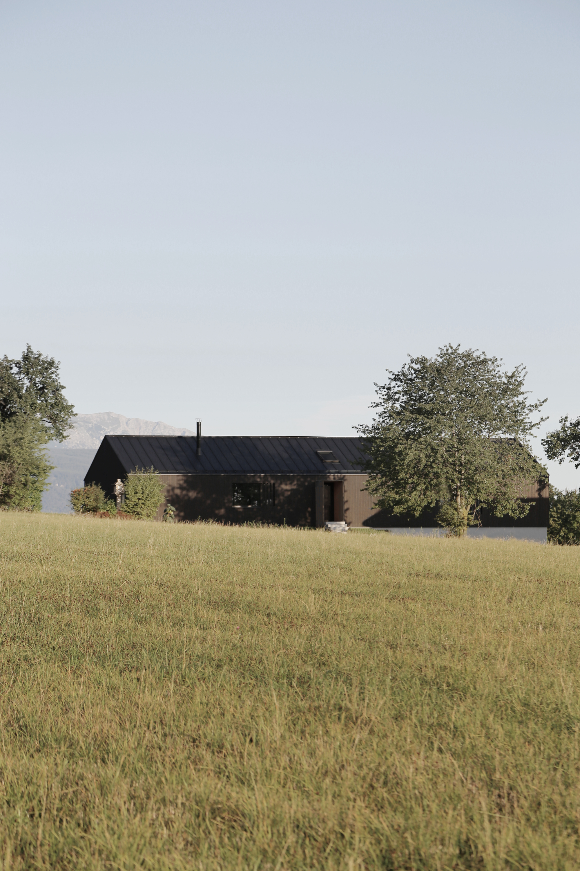 Gallery of Cherry House / STEINBAUER architektur+design + Kaltenbacher ...