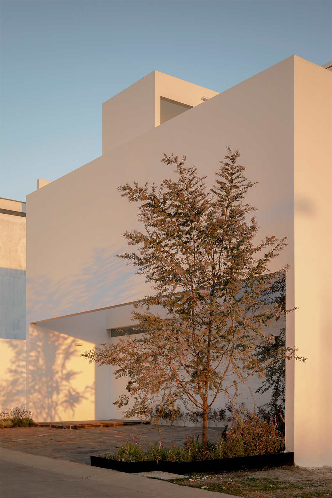 Gallery of Nature House / COTAPAREDES Arquitectos - 21