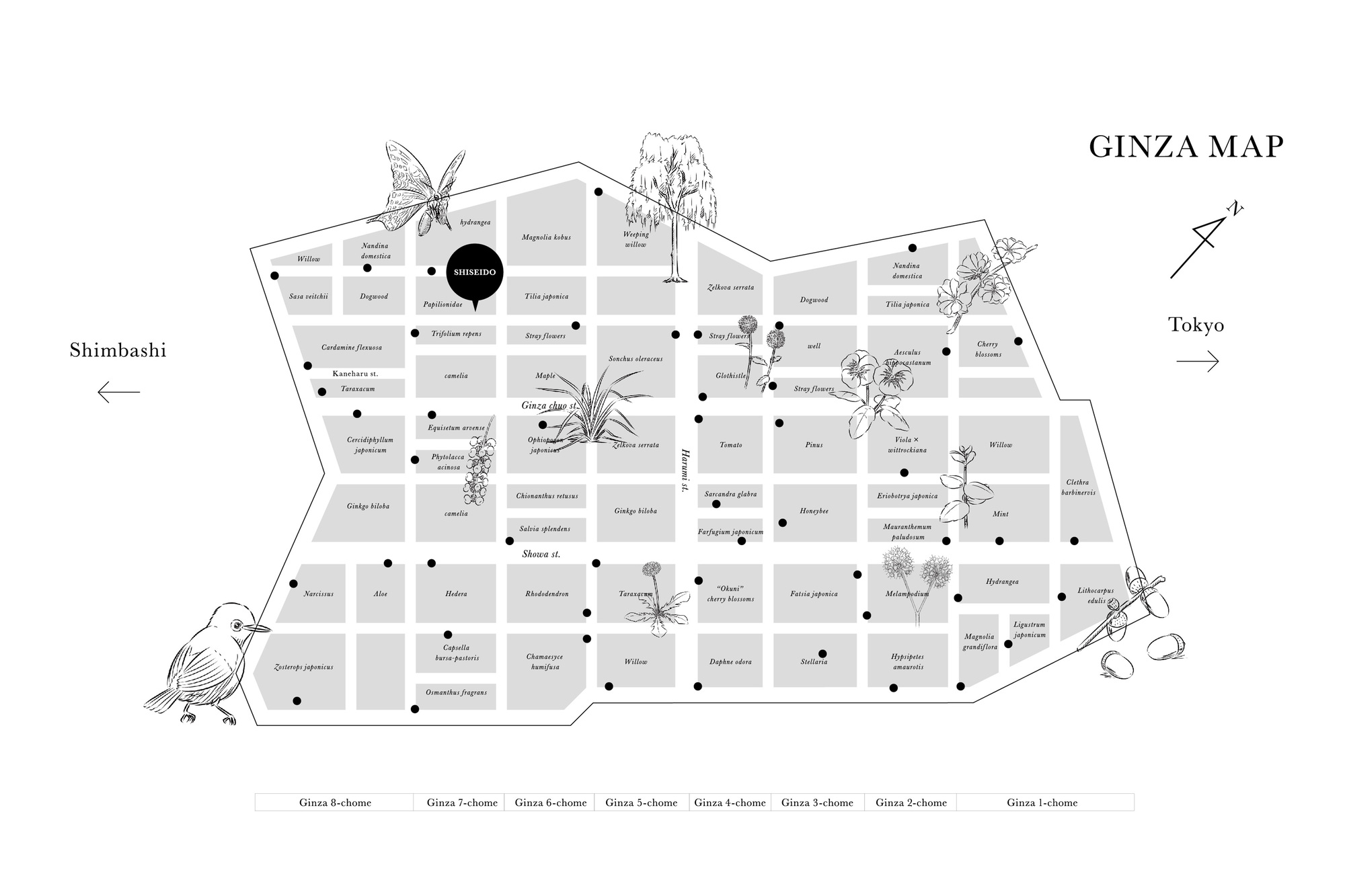 Gallery of Ginza Ecological Map / Hakuten Corporation - 17