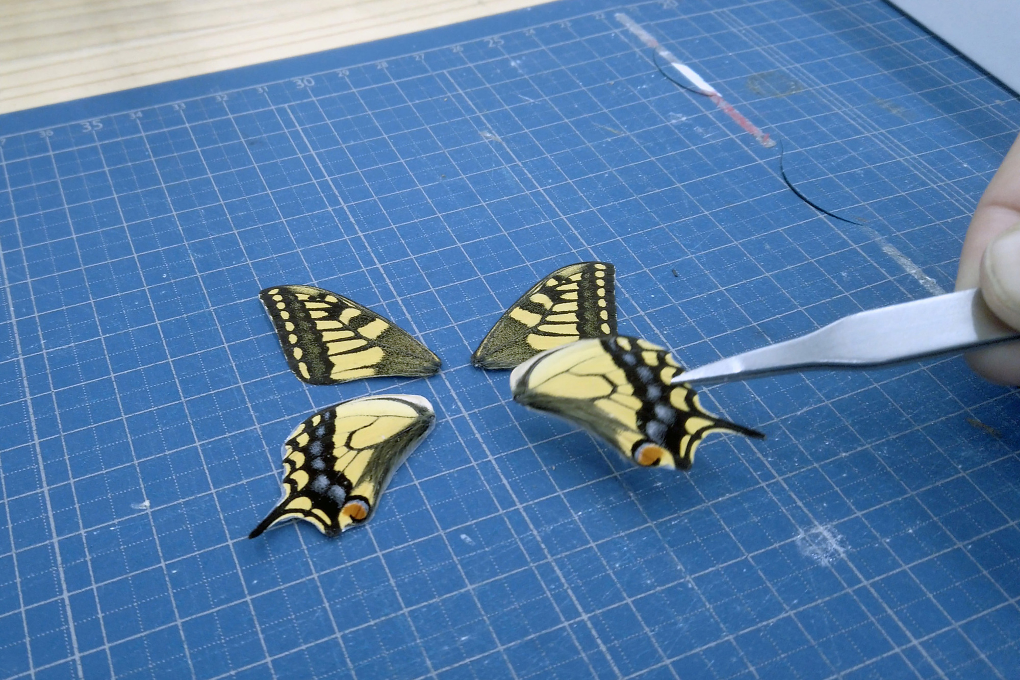 Gallery of Ginza Ecological Map / Hakuten Corporation - 8