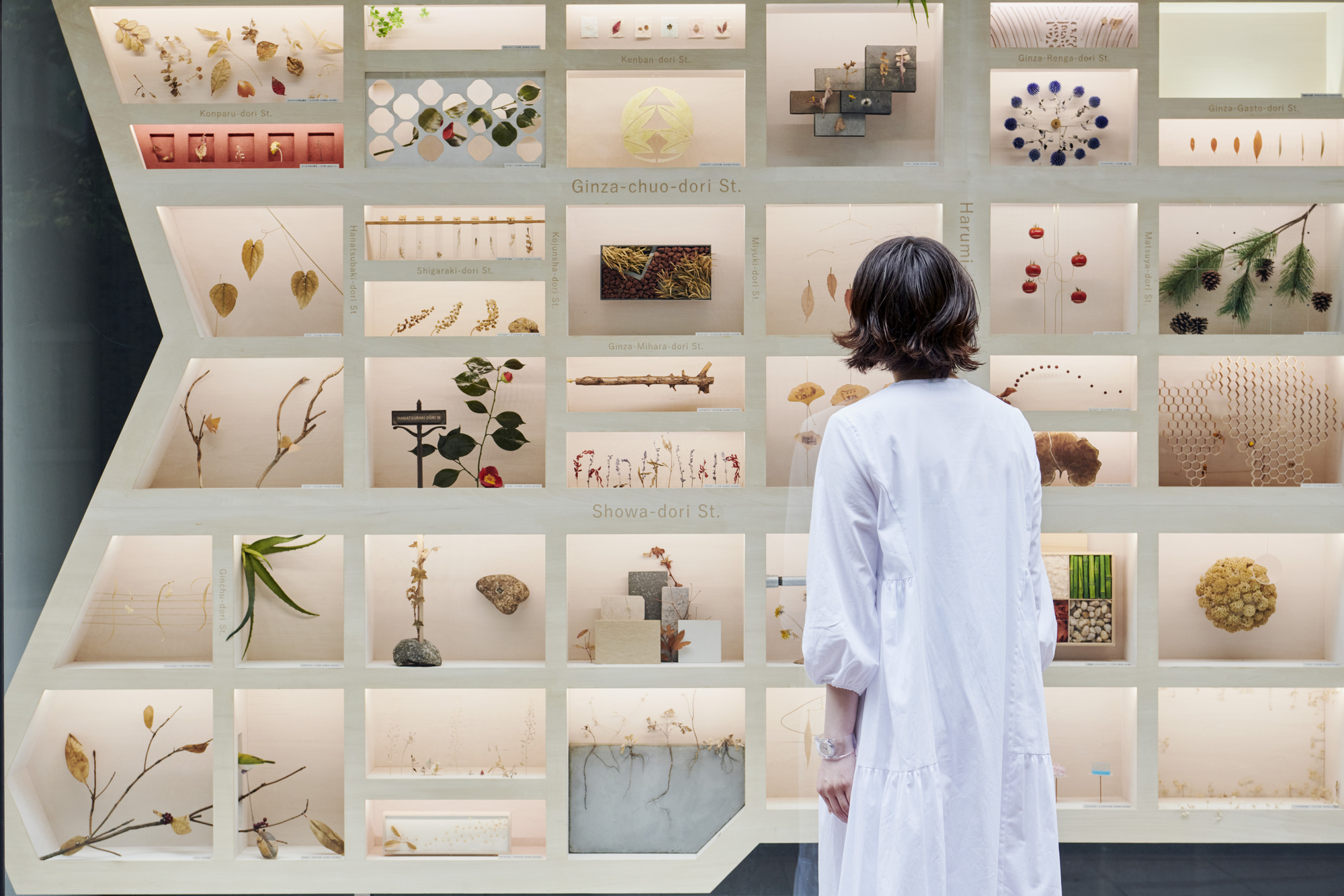 Gallery of Ginza Ecological Map / Hakuten Corporation - 2