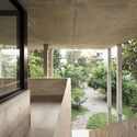 Big Trees Small Plants House / Read Studio | ArchDaily
