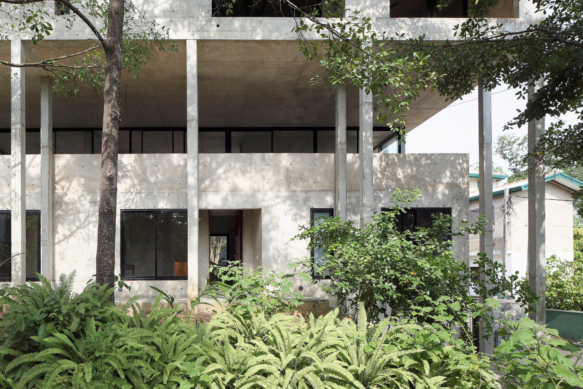 Gallery of Big Trees Small Plants House / Read Studio - 14