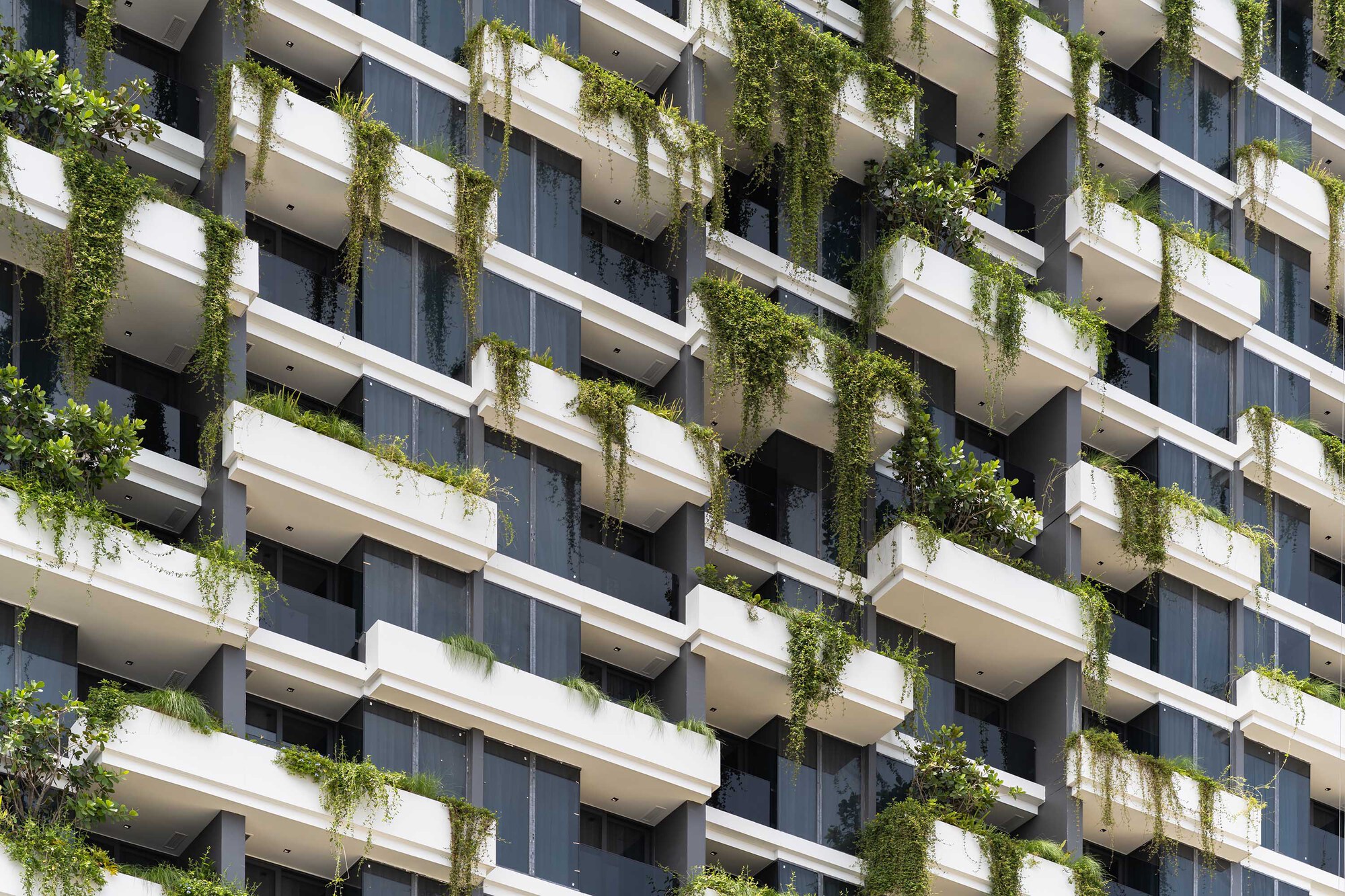 Gallery of Arbour Hotel and Residence Pattaya / Architects 49 - 24