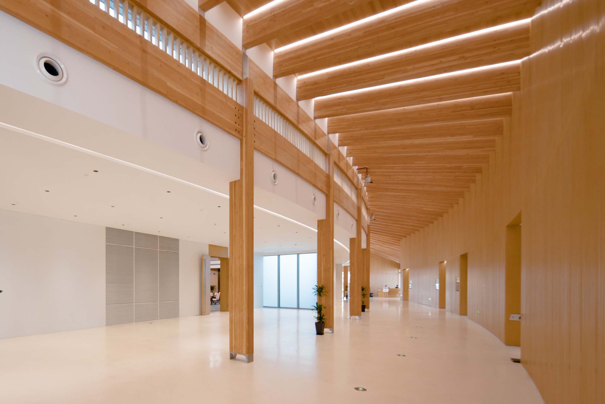 Gallery of Floating Leaf Office Building/ GREEN ARCHITECTS - 34