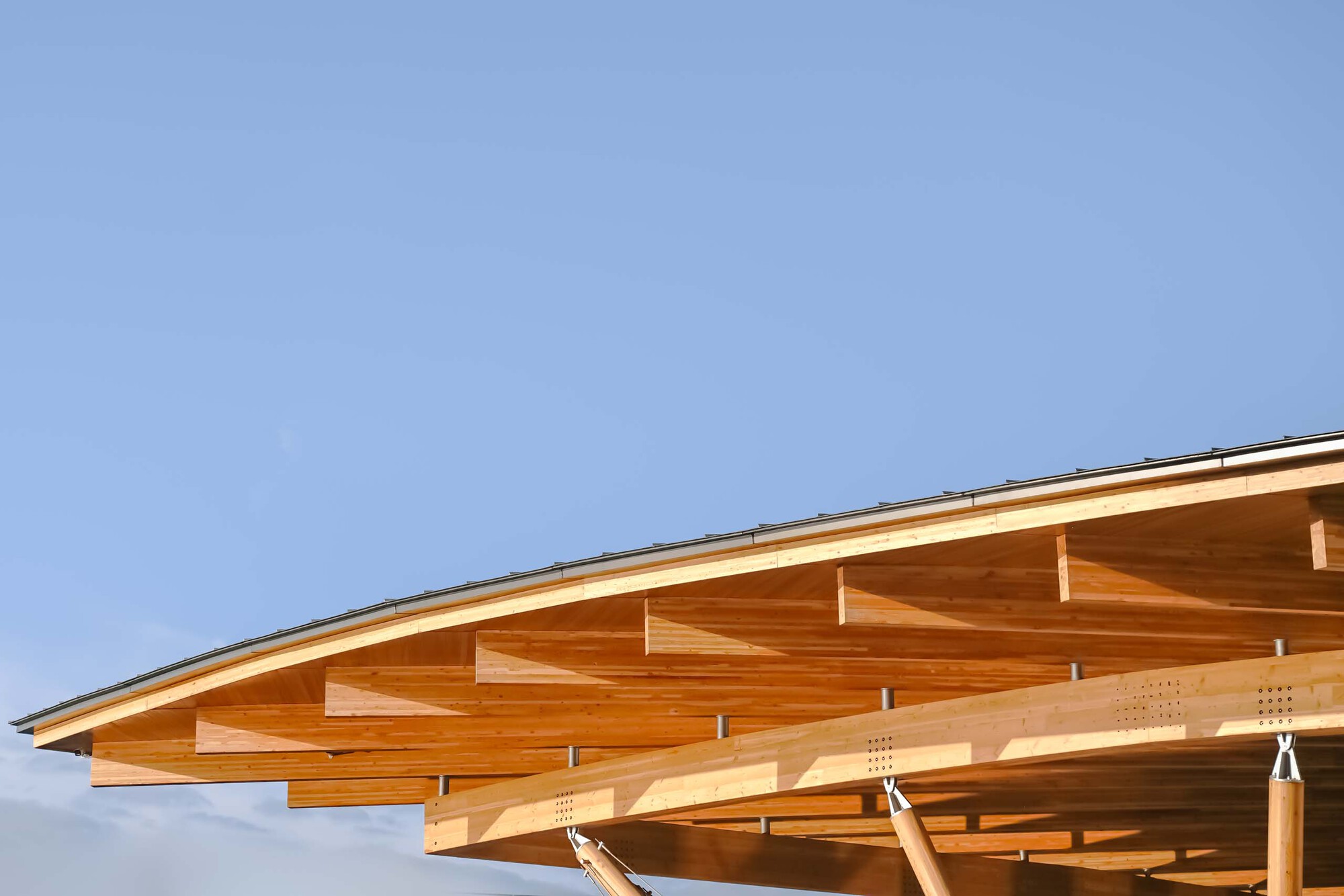 Gallery of Floating Leaf Office Building/ GREEN ARCHITECTS - 21