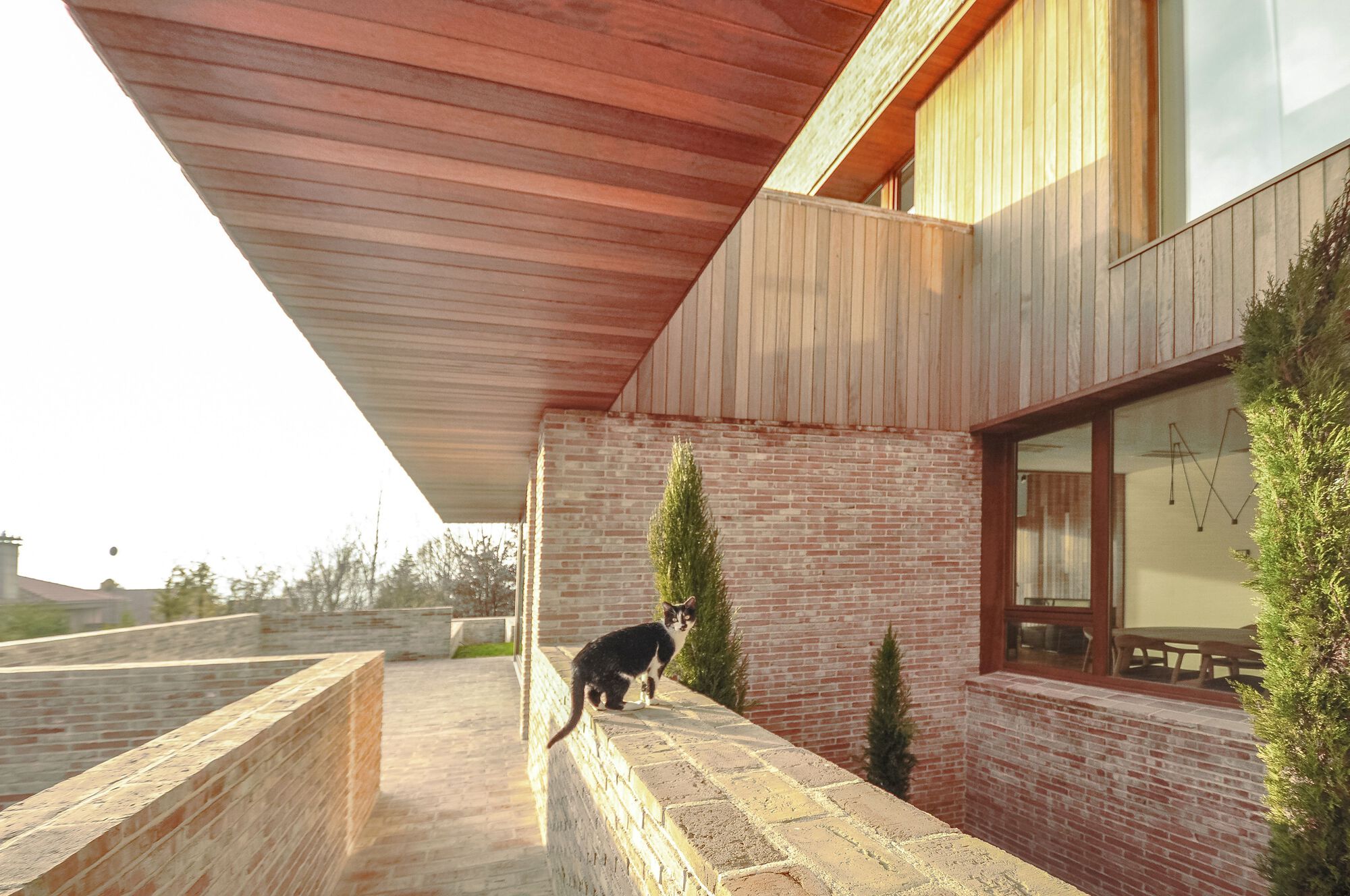 Gallery of House in the Forest / Rodrigo Nuñez Arquitectos - 20