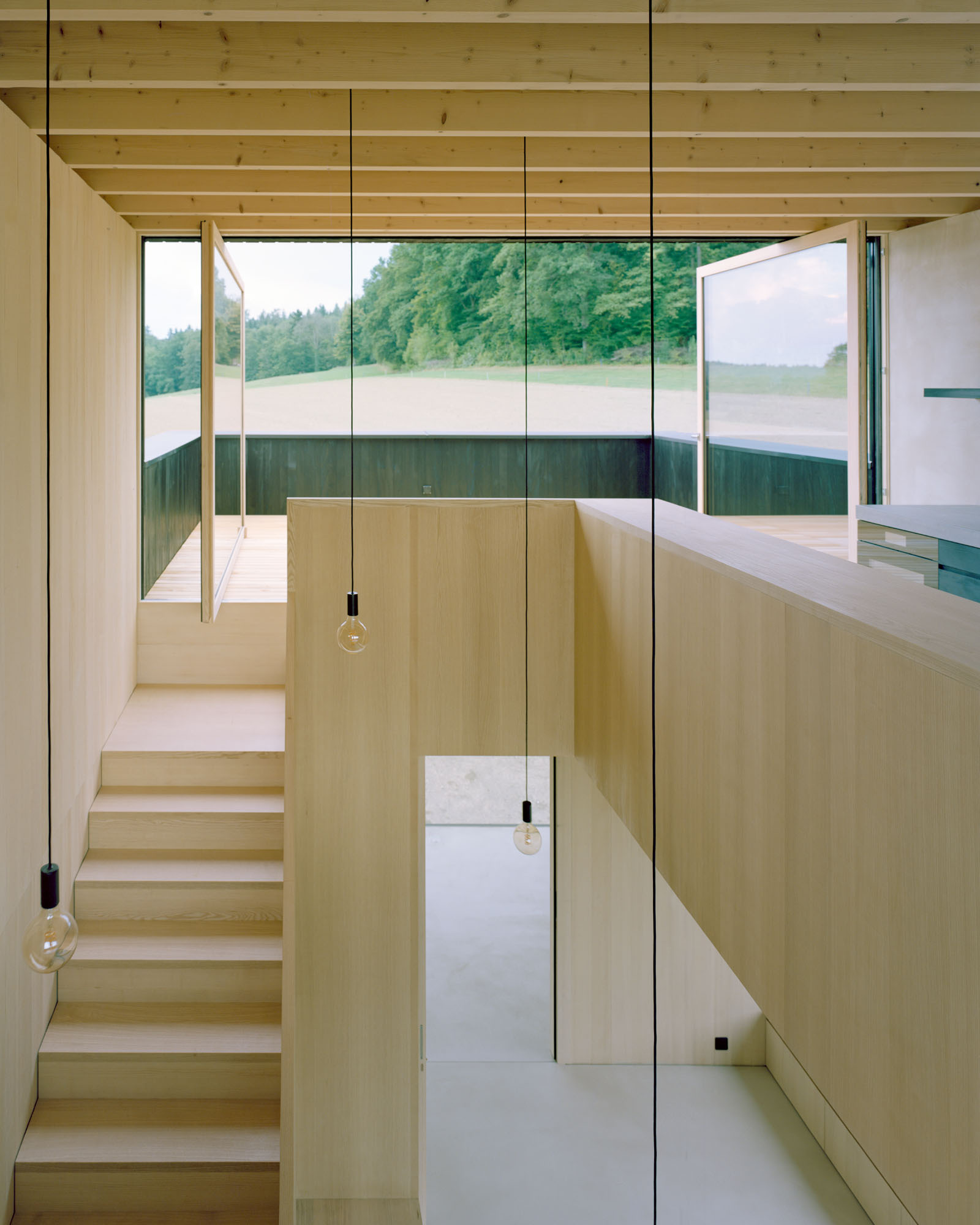 Gallery of Detached House / Gautschi Lenzin Schenker Architekten - 19