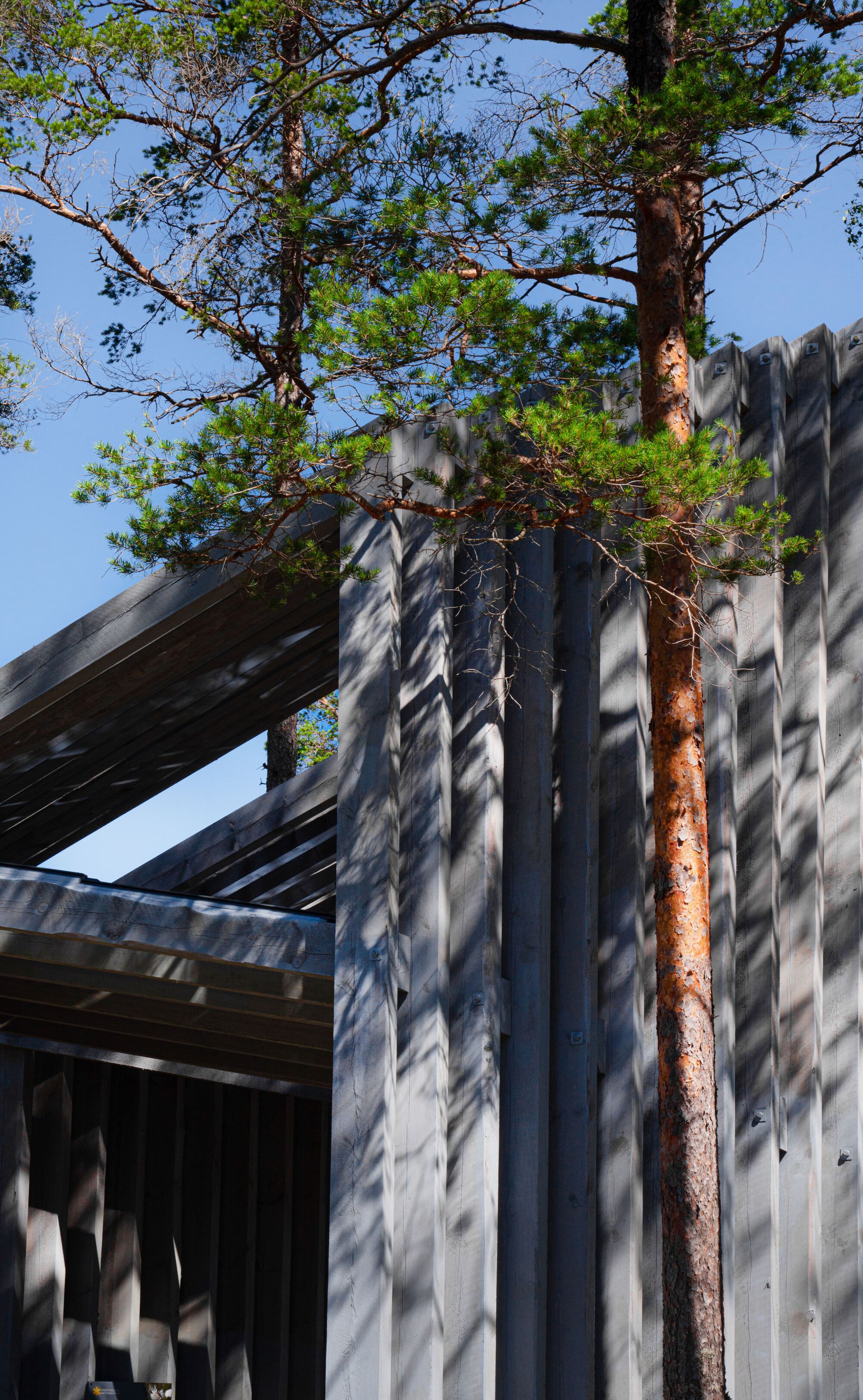 Gallery of Tresticklan National Park Pavilion / Liljewall - 7