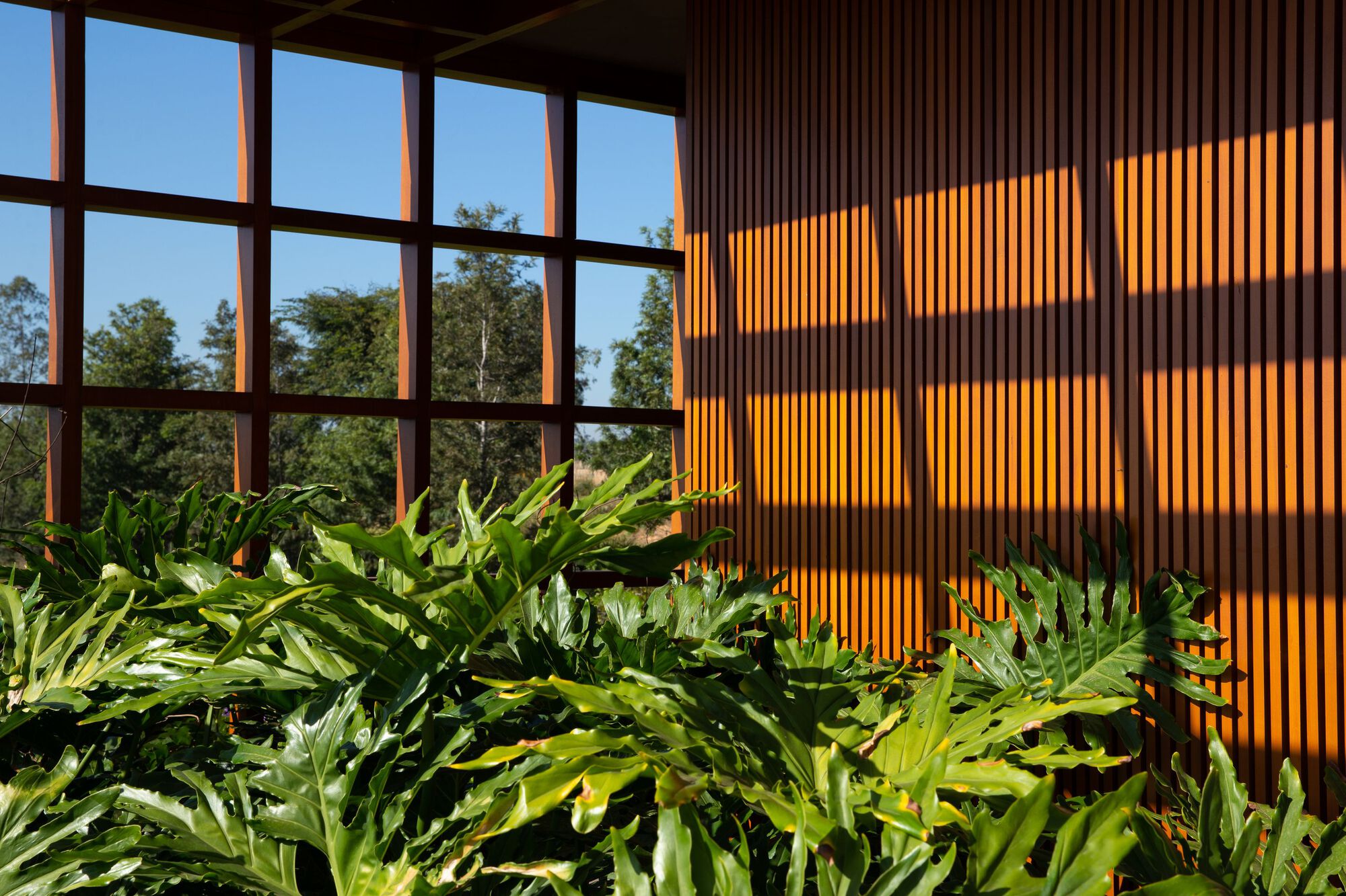 Gallery of Brauninhas House / Pablo Lanza Arquitetura - 18