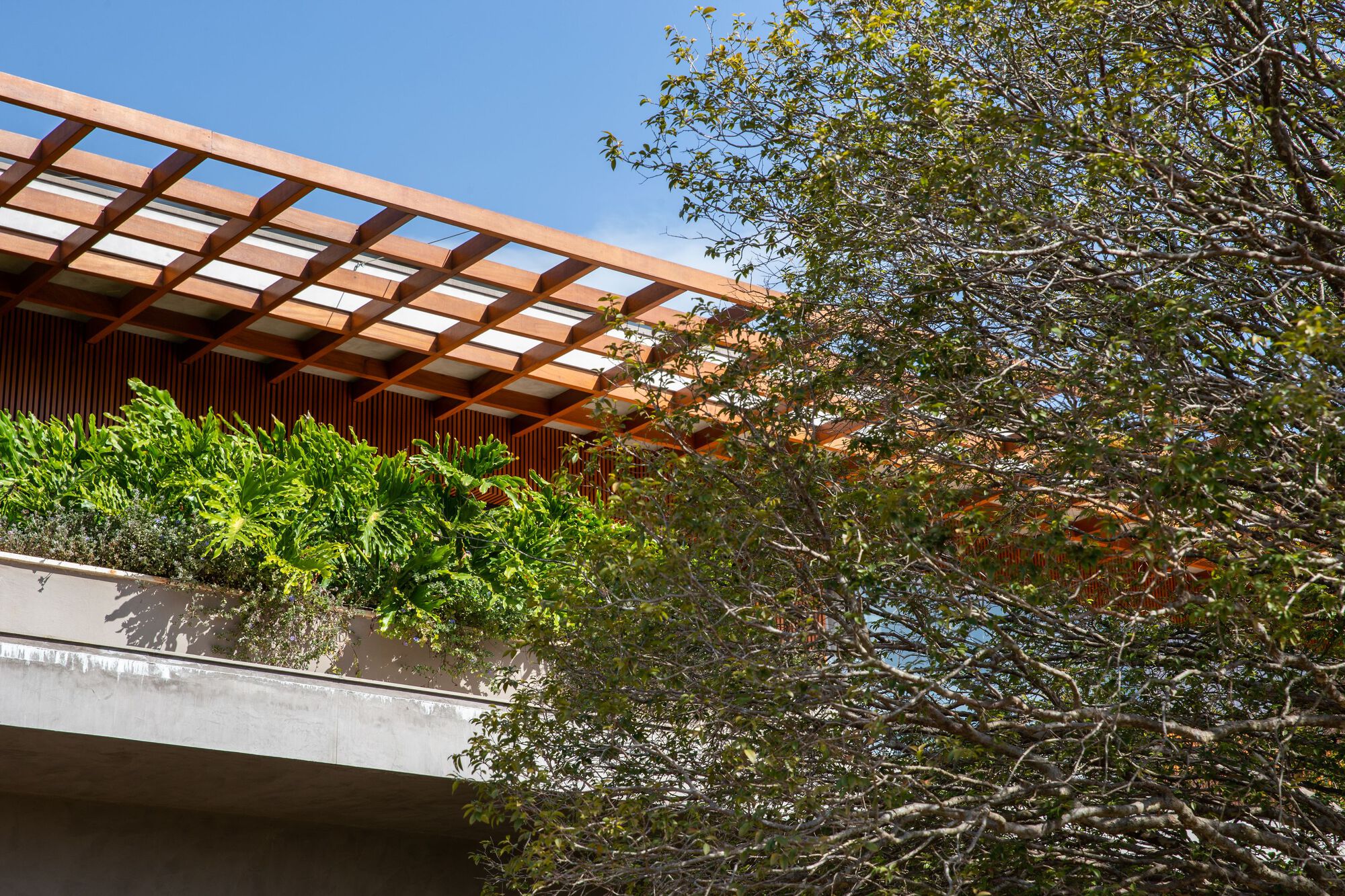 Gallery of Brauninhas House / Pablo Lanza Arquitetura - 13