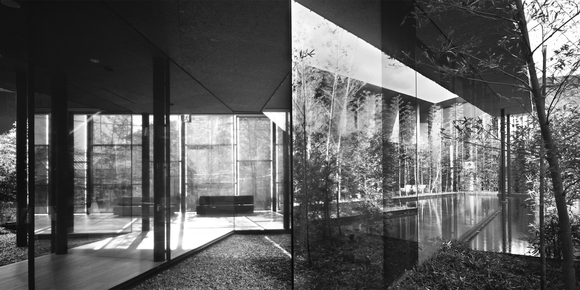 Gallery of Darkness and Color - 1