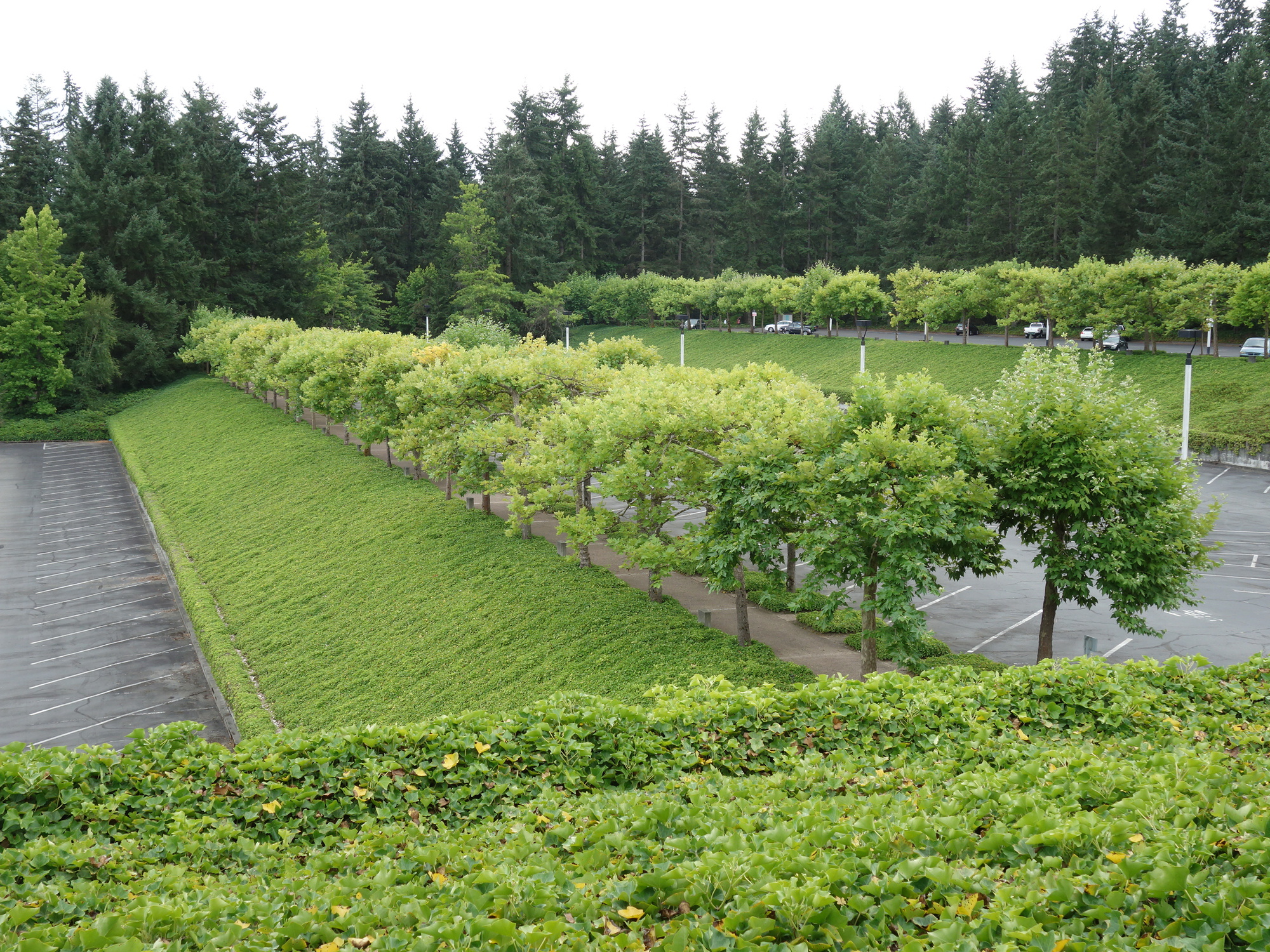 Gallery of The Shape of the Land Topography & Landscape Architecture - 3