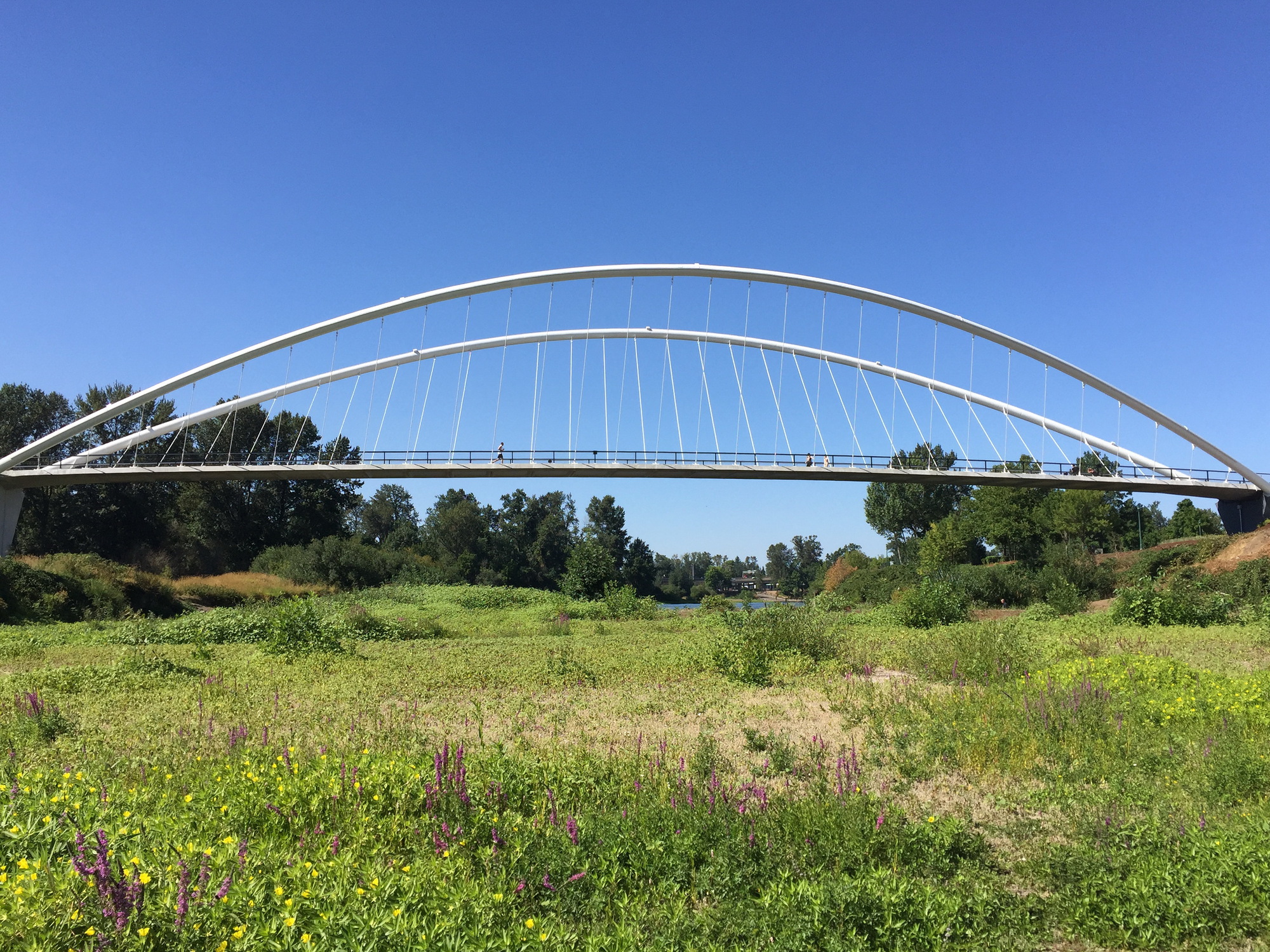 Gallery of Peter Courtney Minto Island Bicycle and Pedestrian Bridge ...