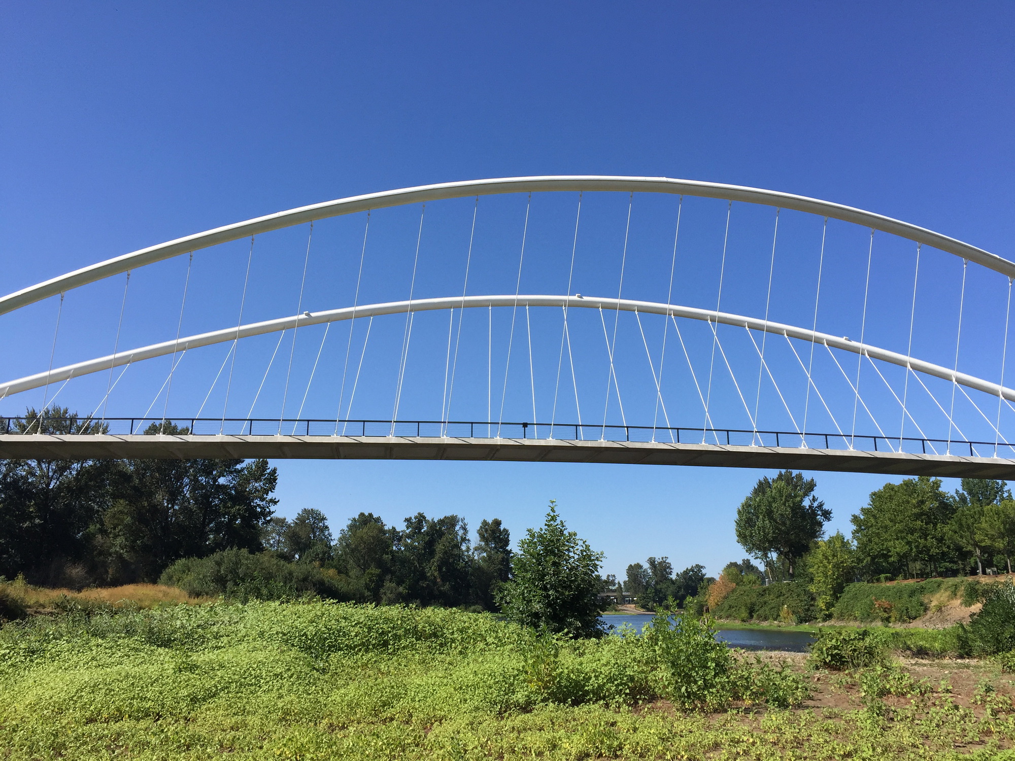 Gallery of Peter Courtney Minto Island Bicycle and Pedestrian Bridge ...