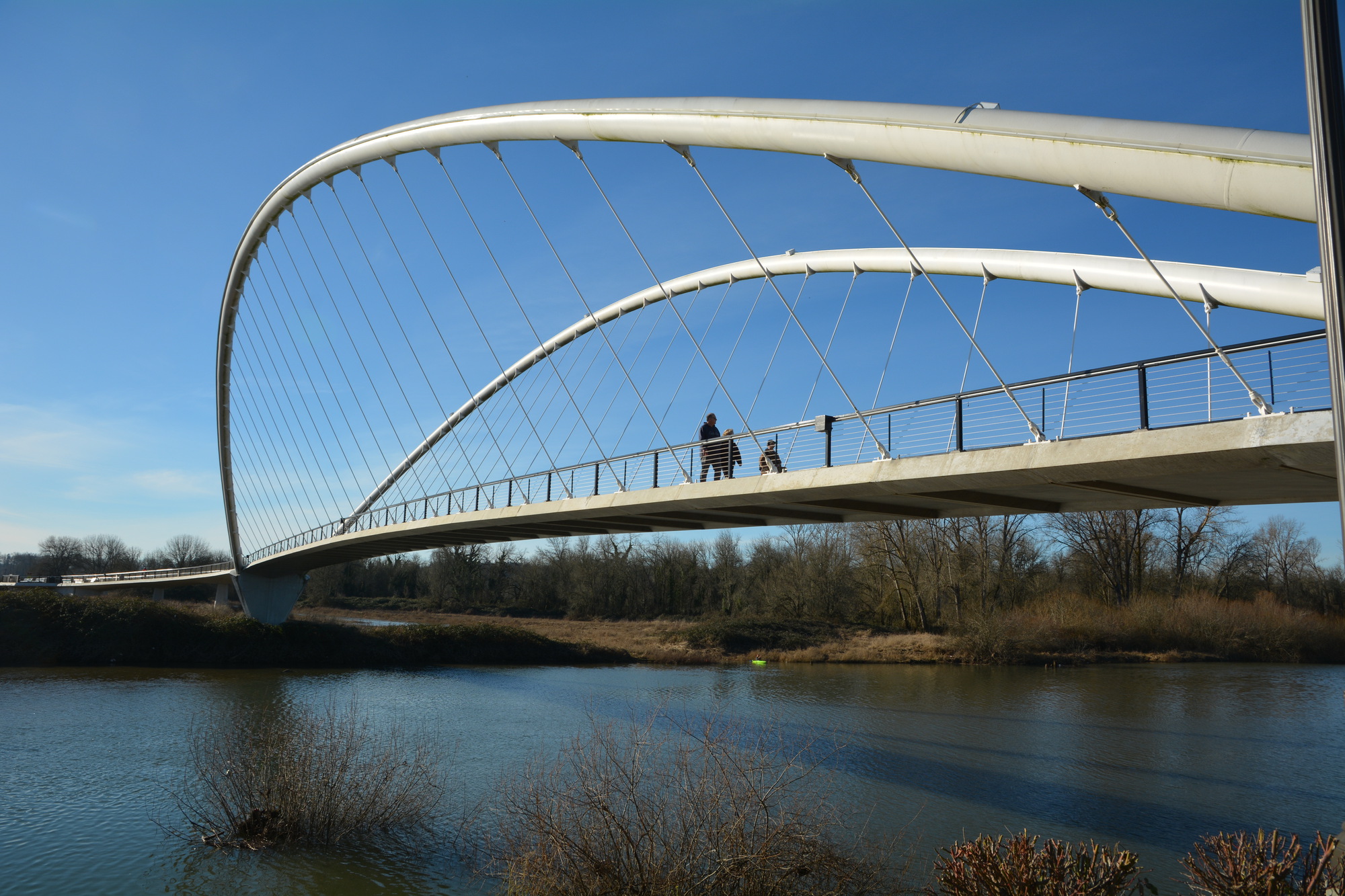 Gallery of Peter Courtney Minto Island Bicycle and Pedestrian Bridge ...