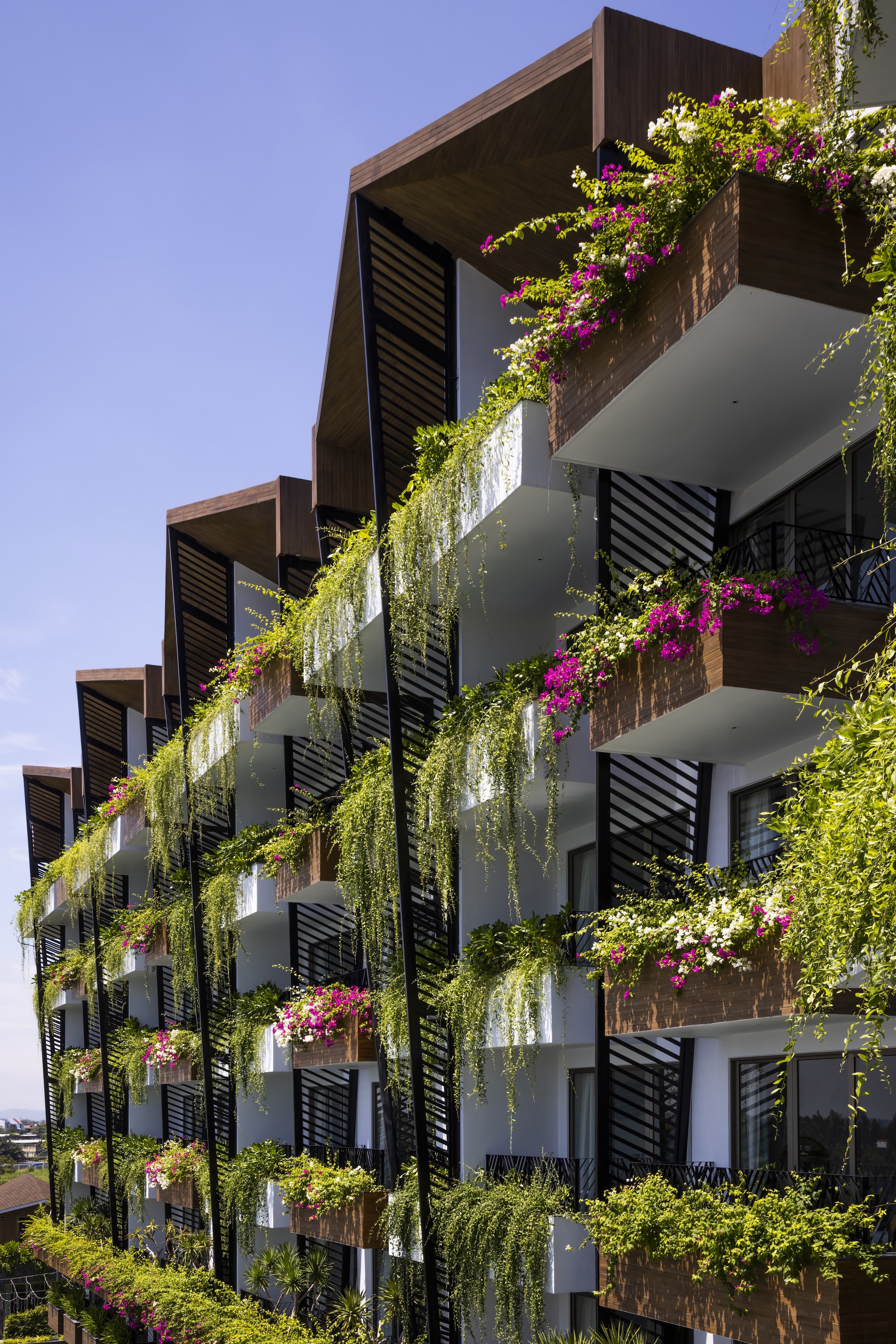 Gallery of Bellerive Resort / AVA Architects - 4