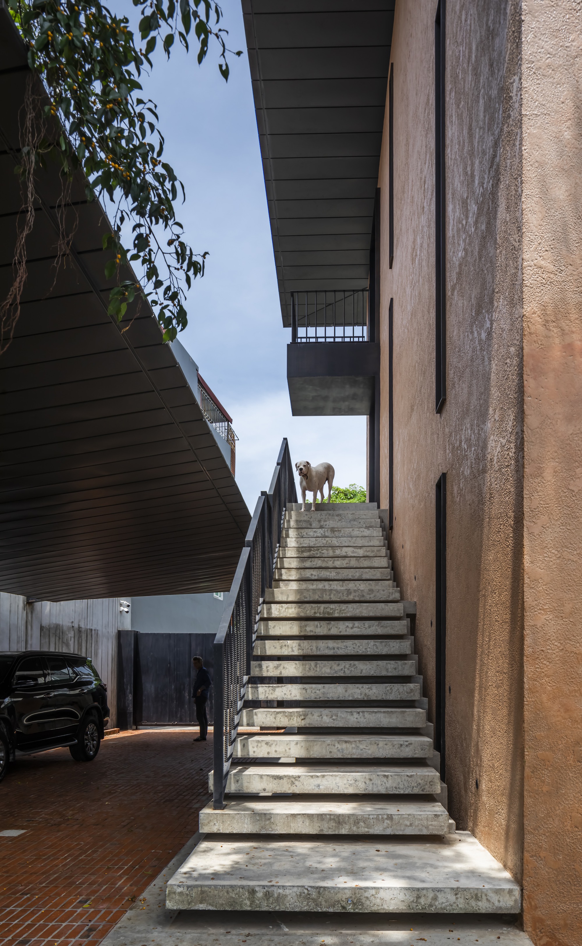 Gallery of Pi House / D&P Associates - 27