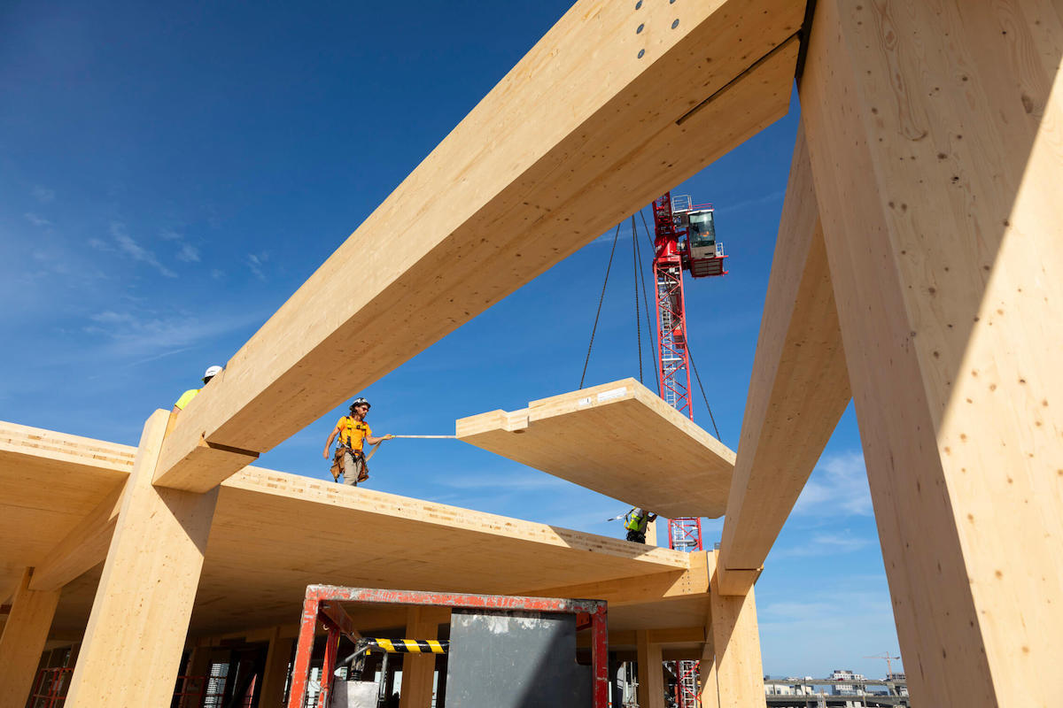 Gallery of Taking on California's First Mass Timber Building - 4