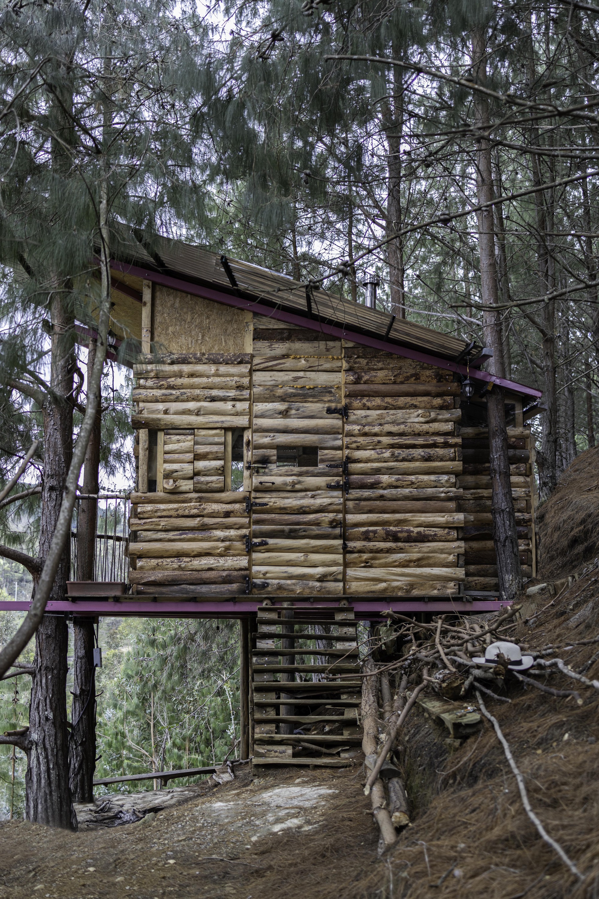 Galería de Casa del árbol / FB+ estudio - 9