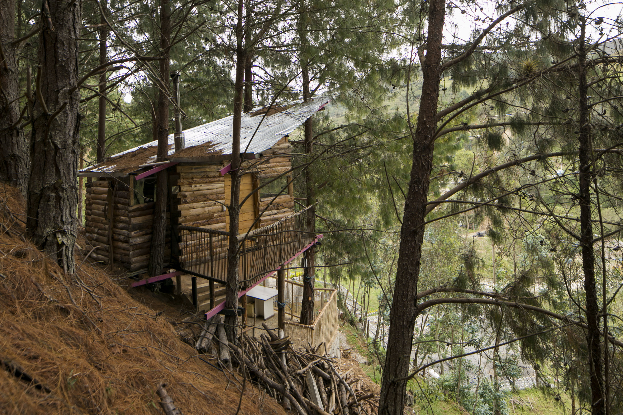 Gallery of Tree House / FB+ estudio - 6