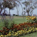 The Rural vs. The Urban: The Postcolonial City of Dakar in the Film ...