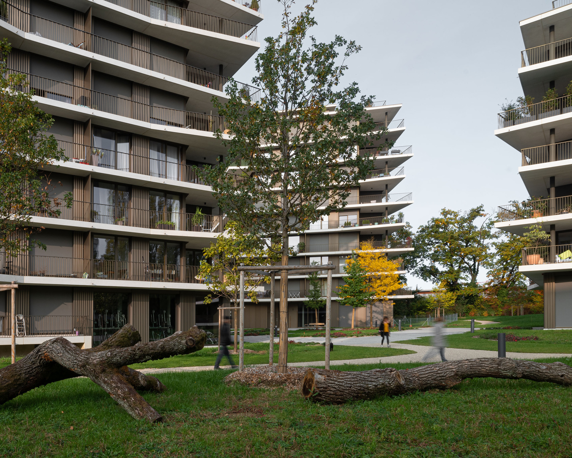 Galería de Jardins de la Gradelle Apartments / LRS Architectes - 2