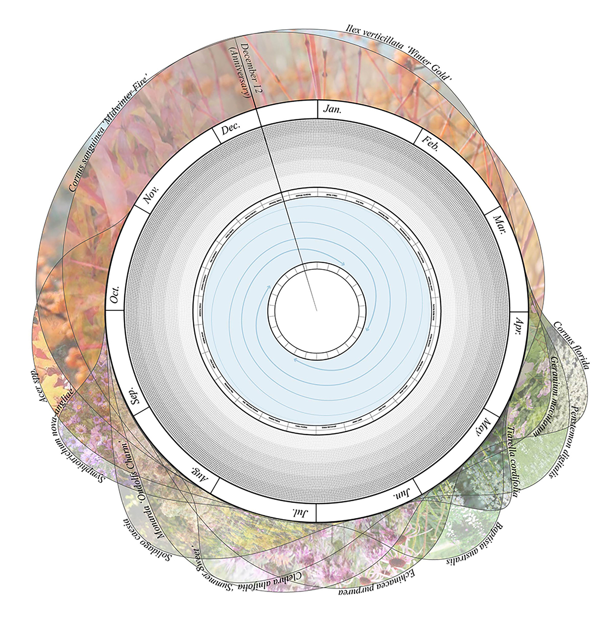 Gallery of The Clearing Memorial / SWA Group - 18