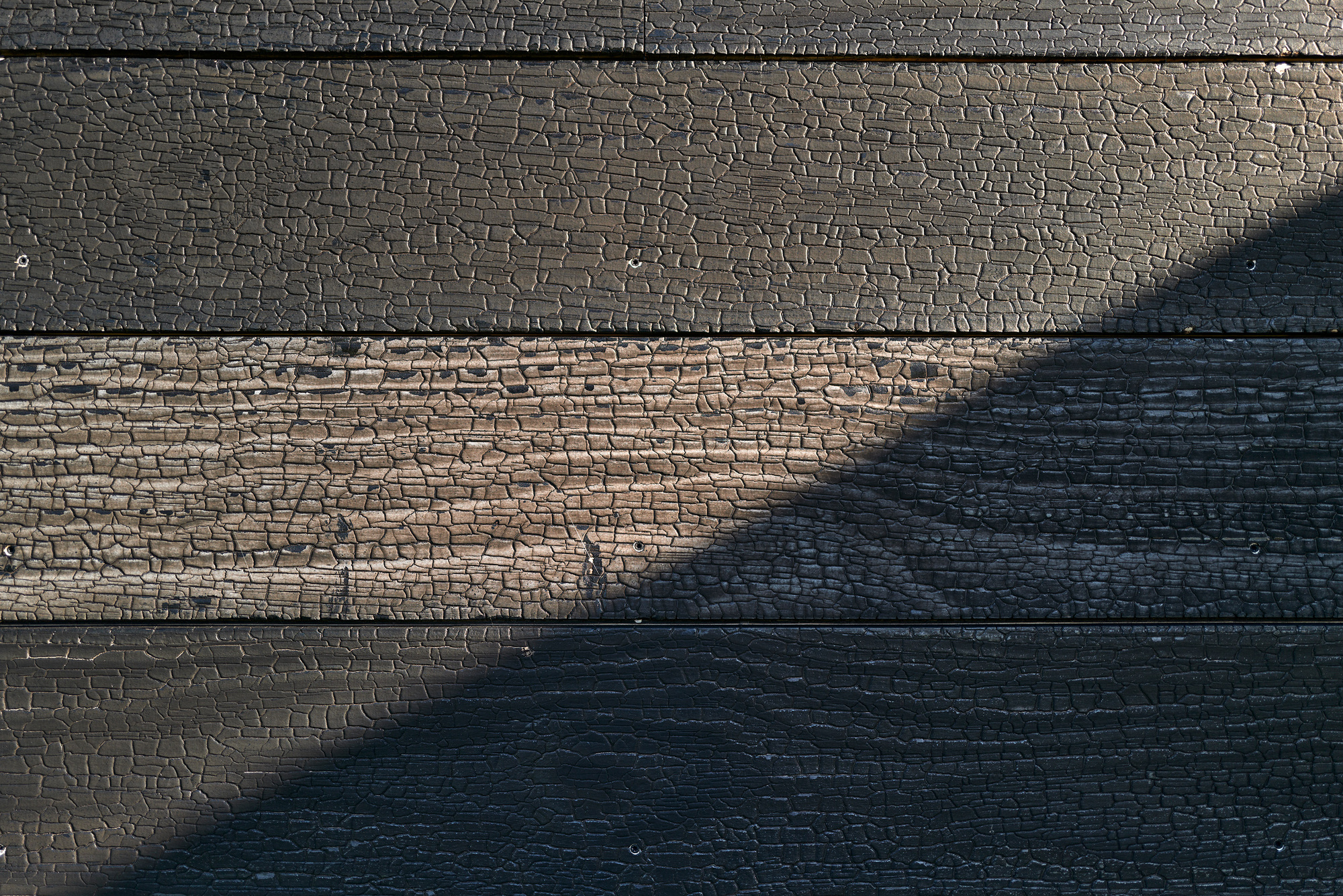 Gallery of Charred Barn / MaMo Architects - 17