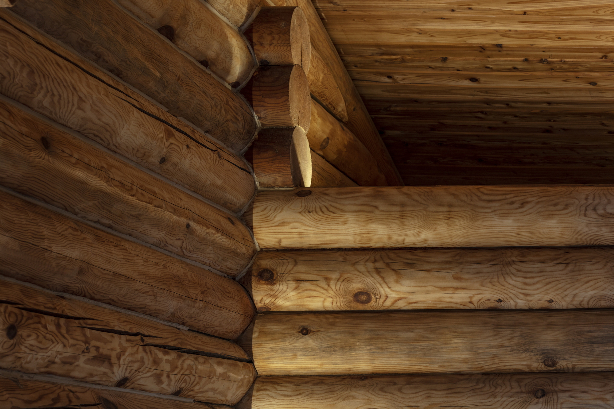 Gallery of Space of Muwi Stay / Atelier ITCH - 25