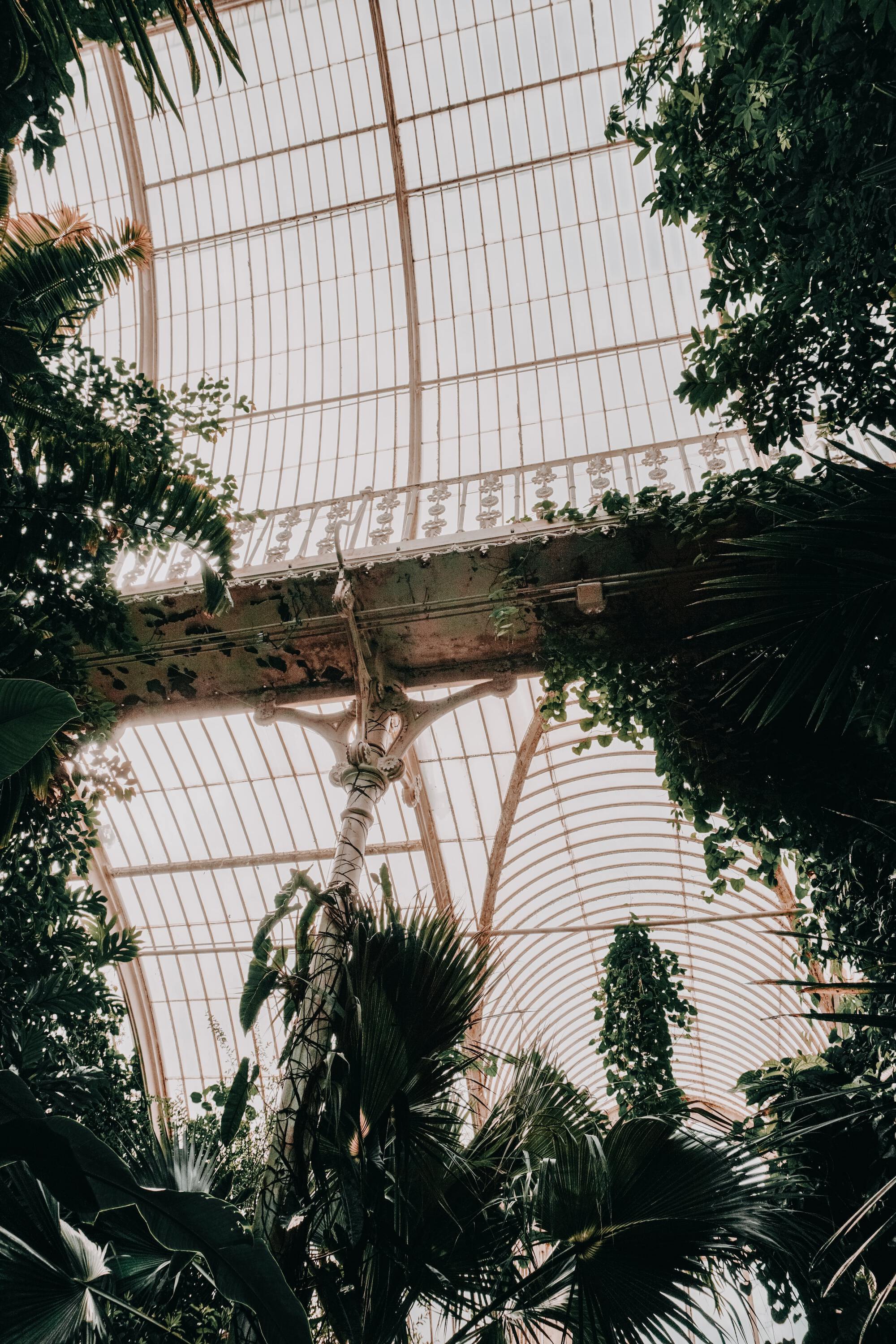 Gallery of The Cultural Significance of Greenhouses: A Complicated ...