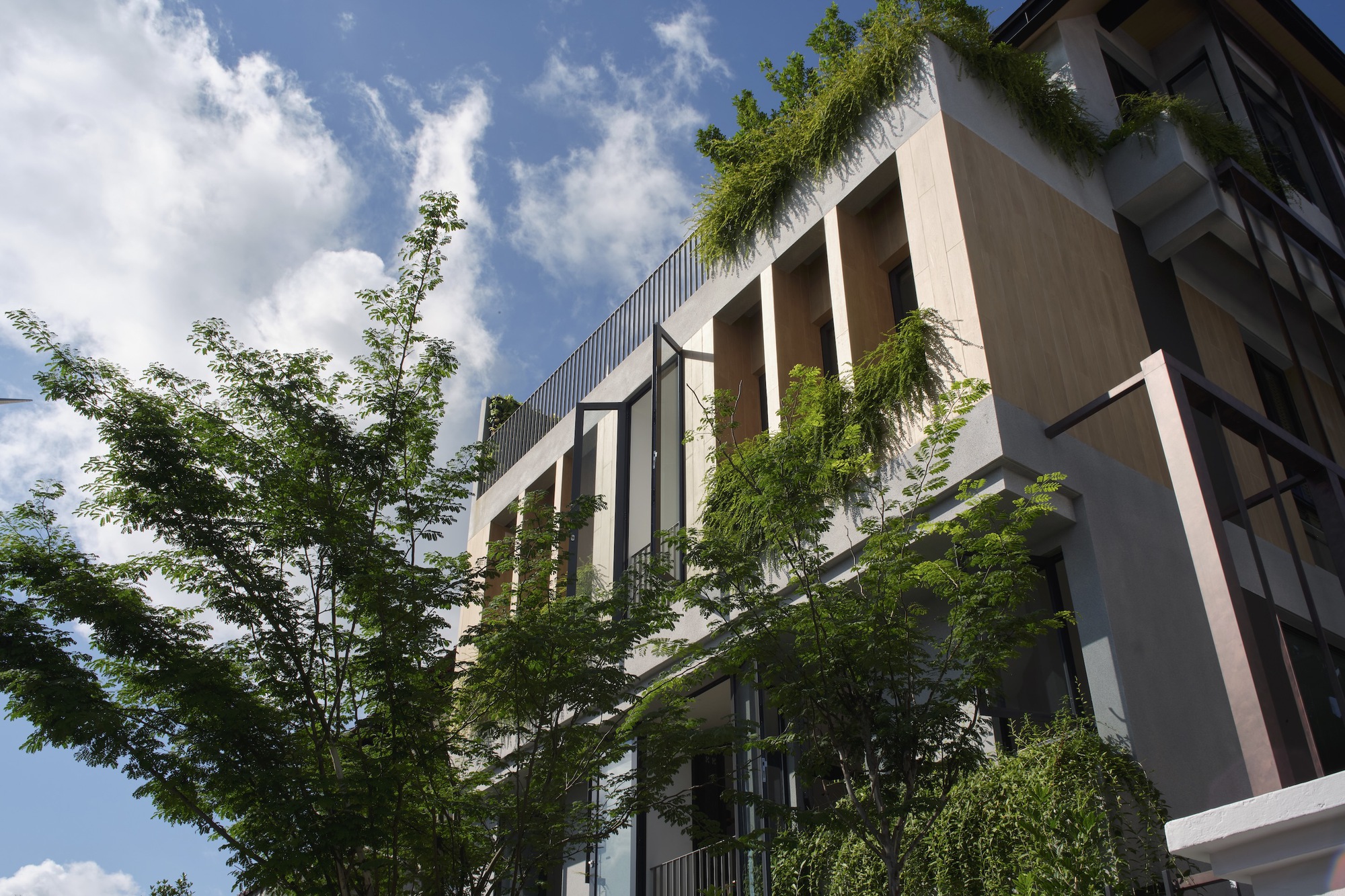 Gallery of The Outdoor House / Quod Architects - 6