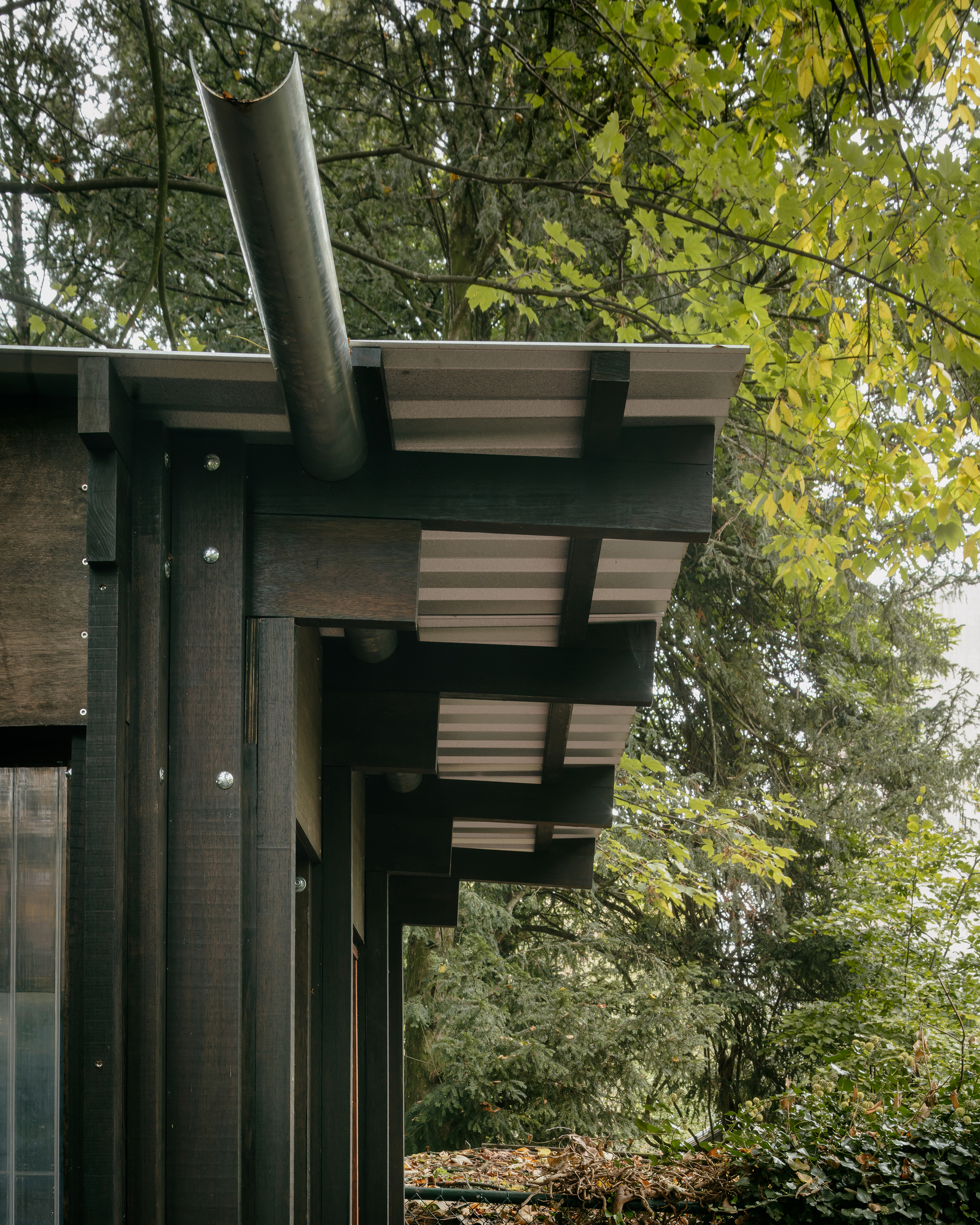 Gallery of Tree House / Studio ACTE - 10
