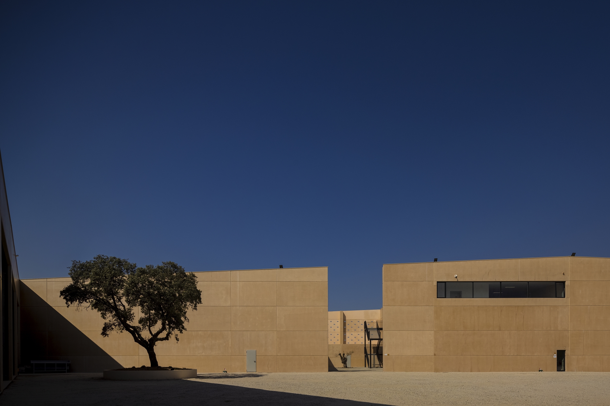 Gallery of Walnut Factory / ARC Arquitectos - 23