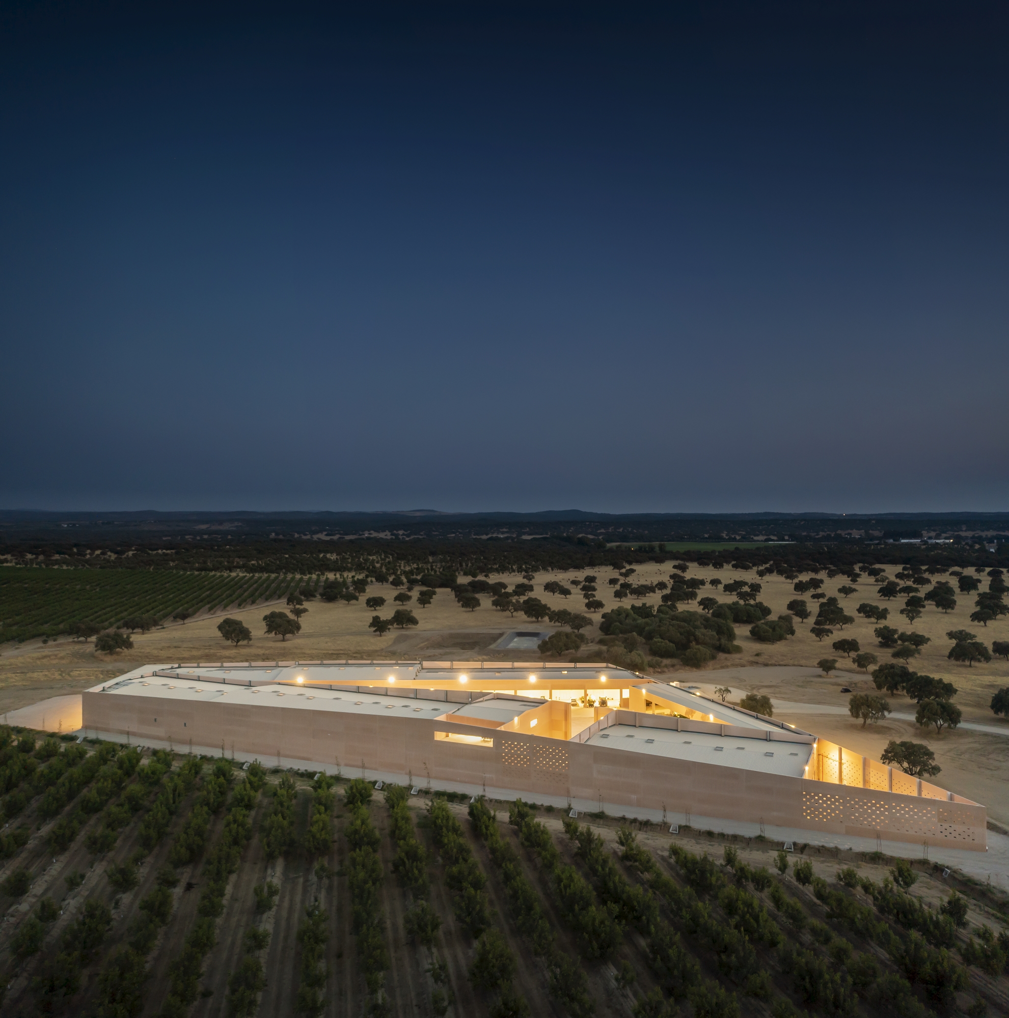 Gallery of Walnut Factory / ARC Arquitectos - 35