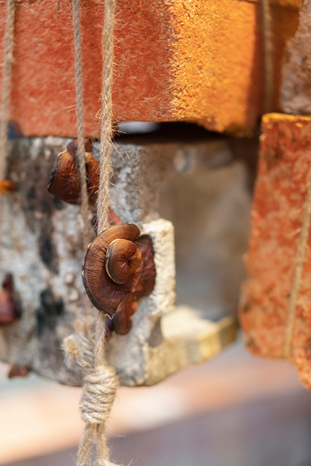 Gallery of Inverted Architecture Installation / Studio Link-Arc - 16