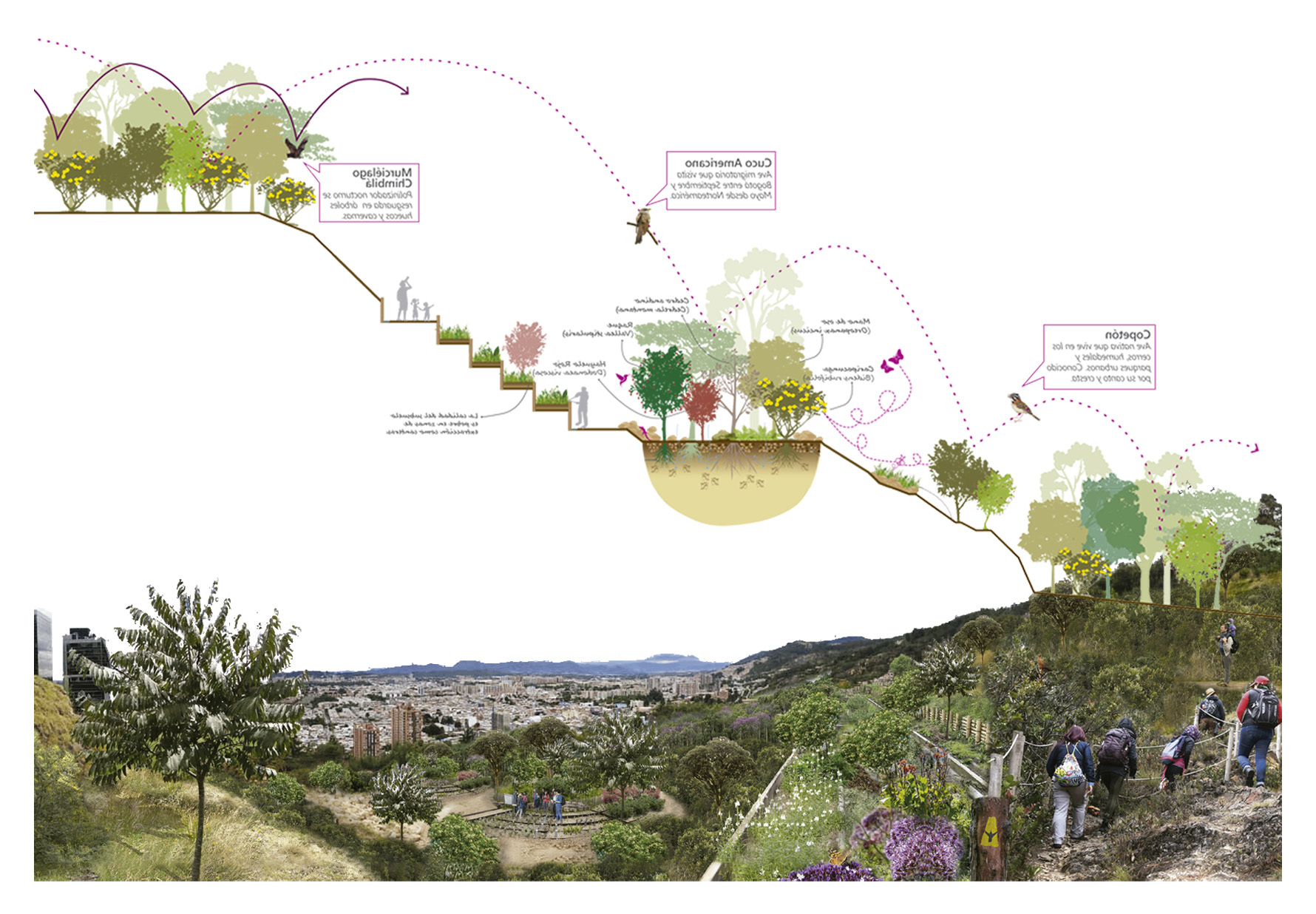 Galería de Correr la Tierra: La idea ganadora para mejorar el uso ...