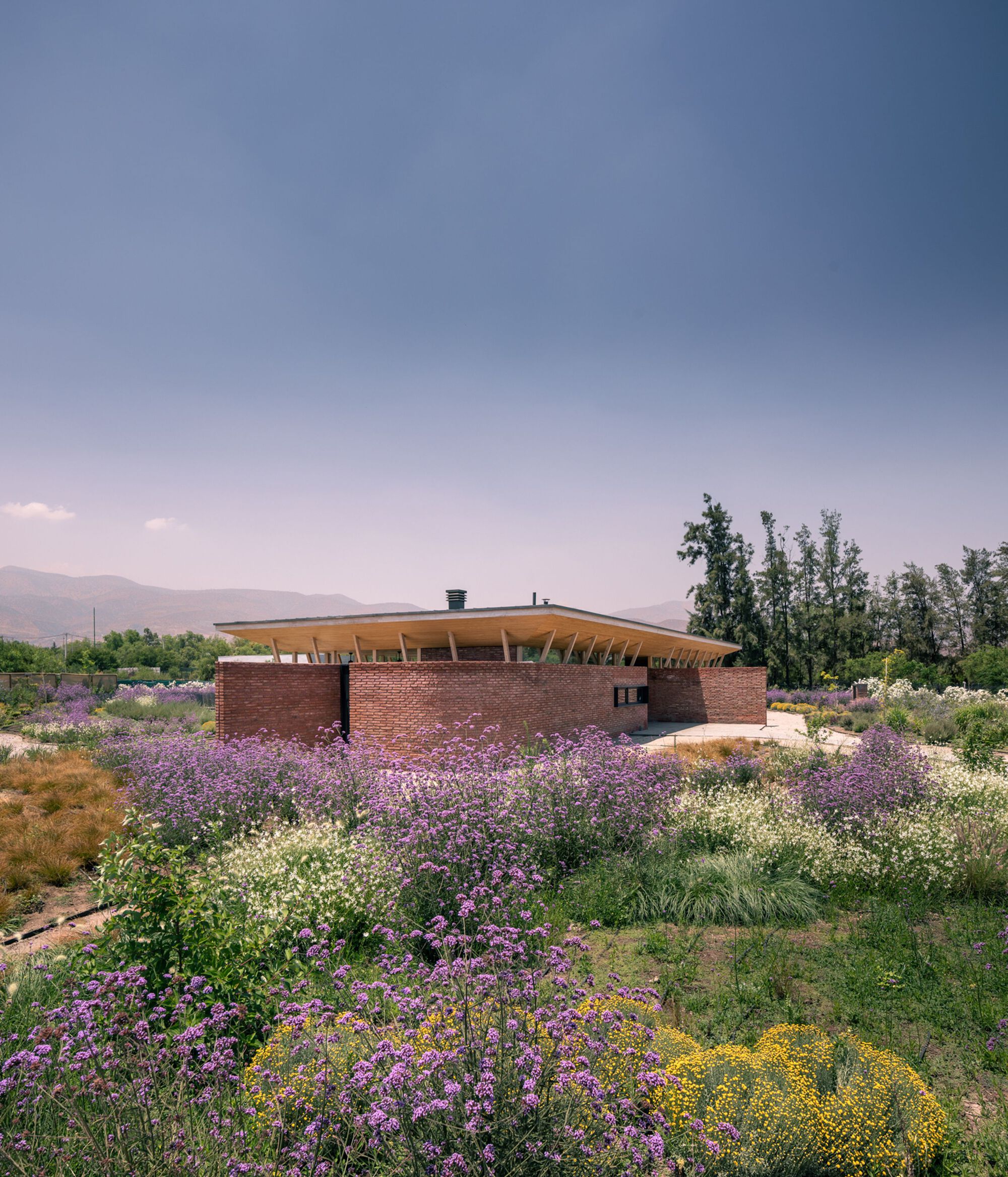 Gallery of Curved Walls House / Schwember García-Huidobro Arquitectos - 2