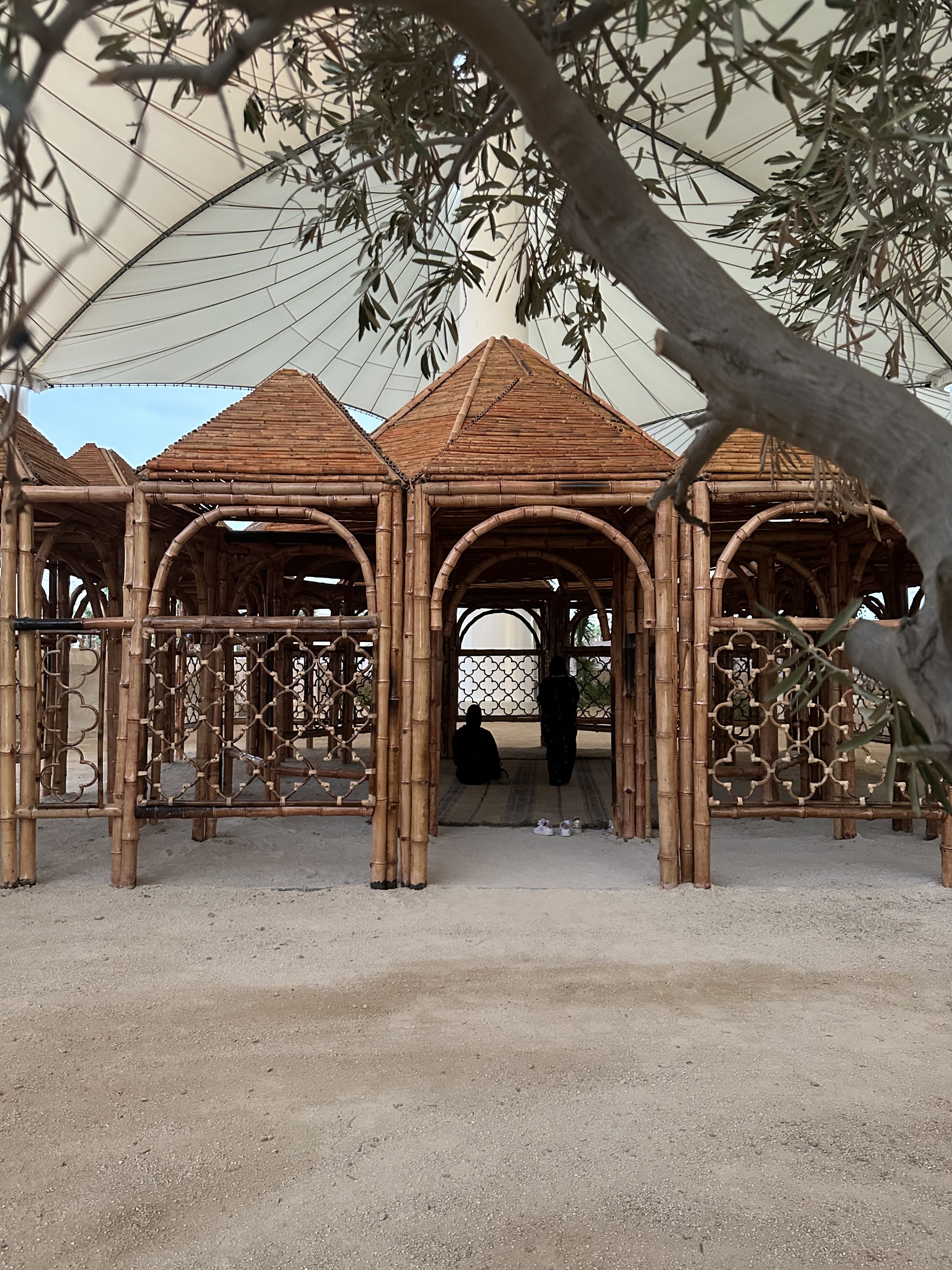 Gallery of Sumayya Vally on the First Islamic Arts Biennale: "Claim ...