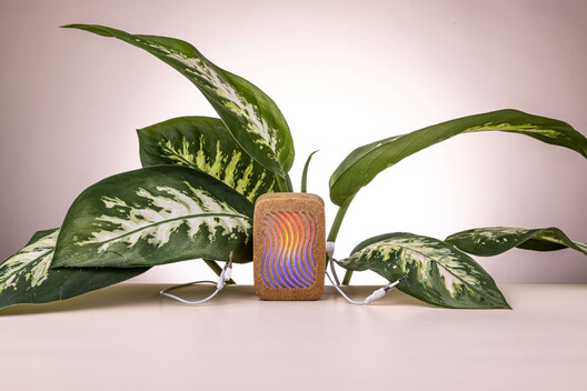 Converting Plant Biorhythms into Real Time Music for Indoor ...